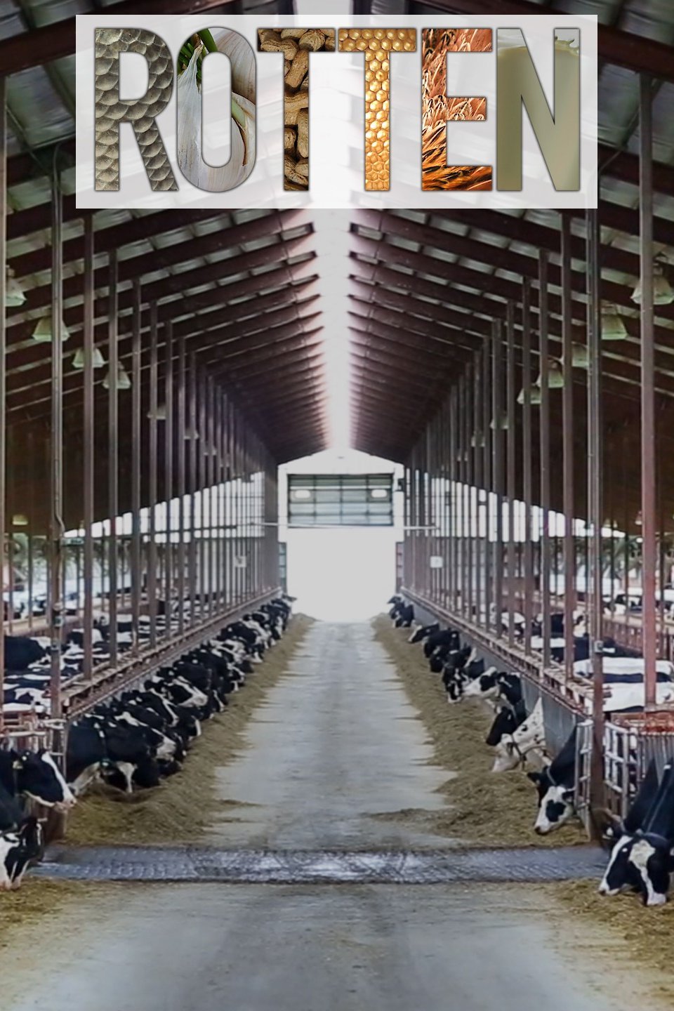 Rotten - Rotten Tomatoes