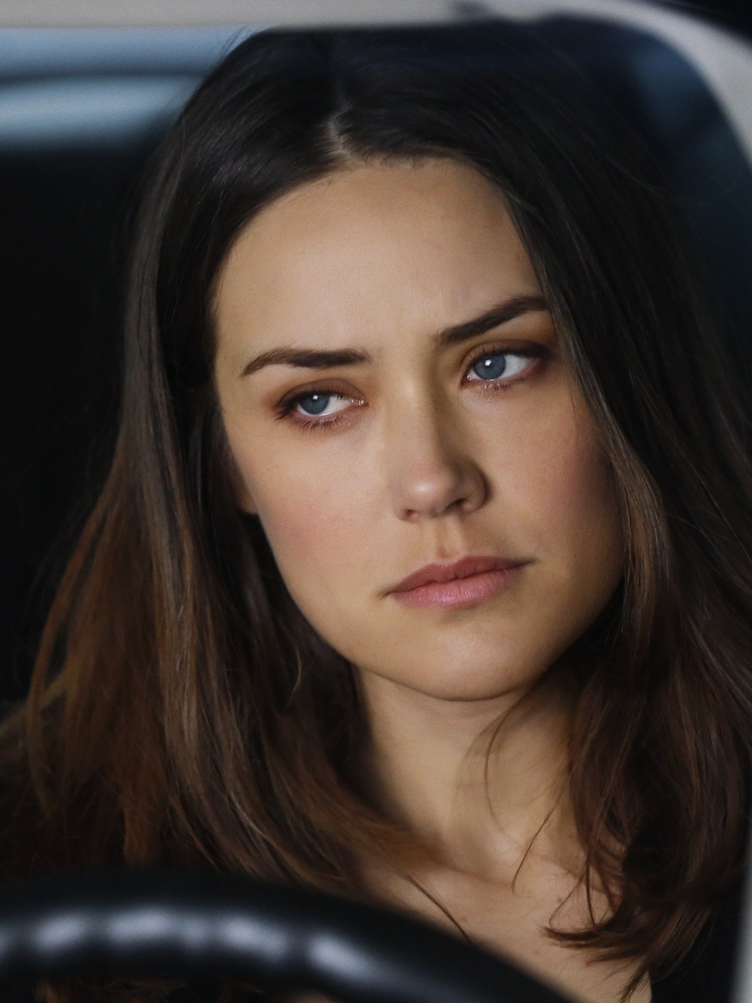 Abraham Stern Pictures - Rotten Tomatoes