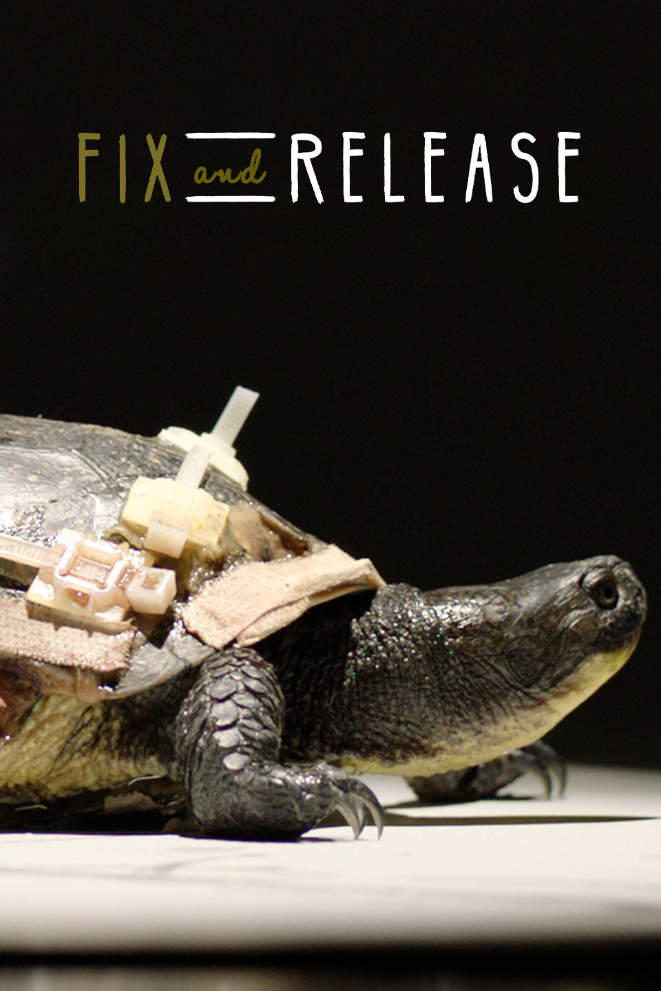 Fix & Release - Rotten Tomatoes