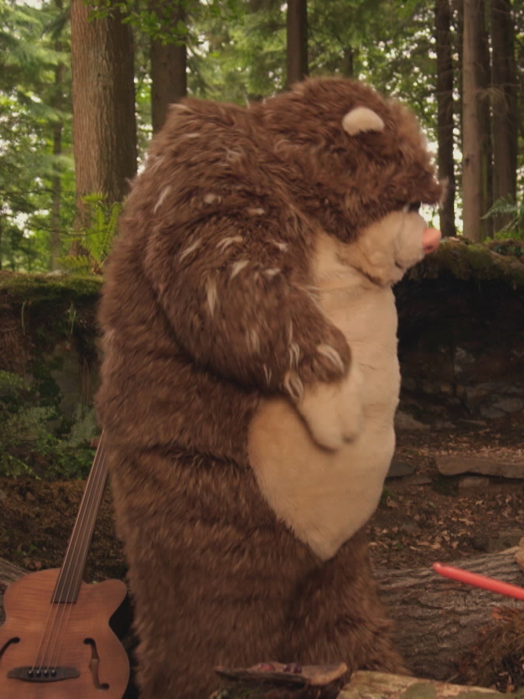 Squabble Pictures - Rotten Tomatoes