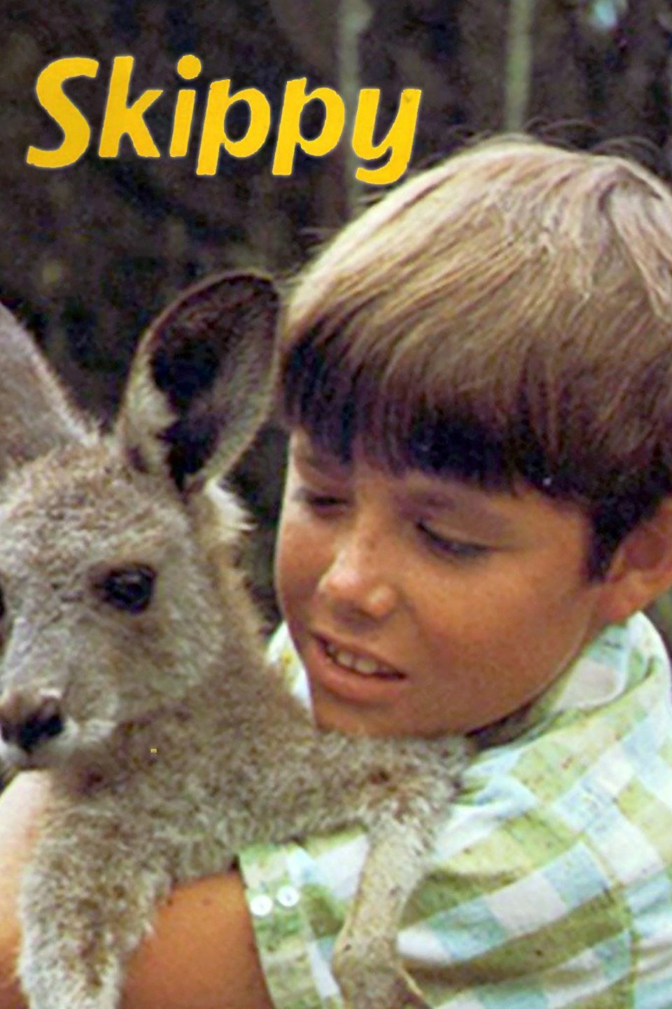 Skippy - Rotten Tomatoes