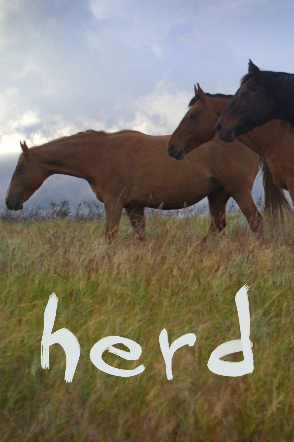 Herd Pictures - Rotten Tomatoes