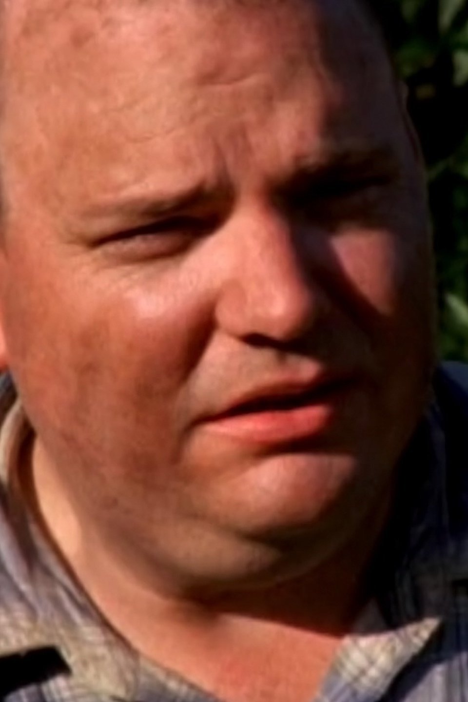 The Innocent Pictures - Rotten Tomatoes