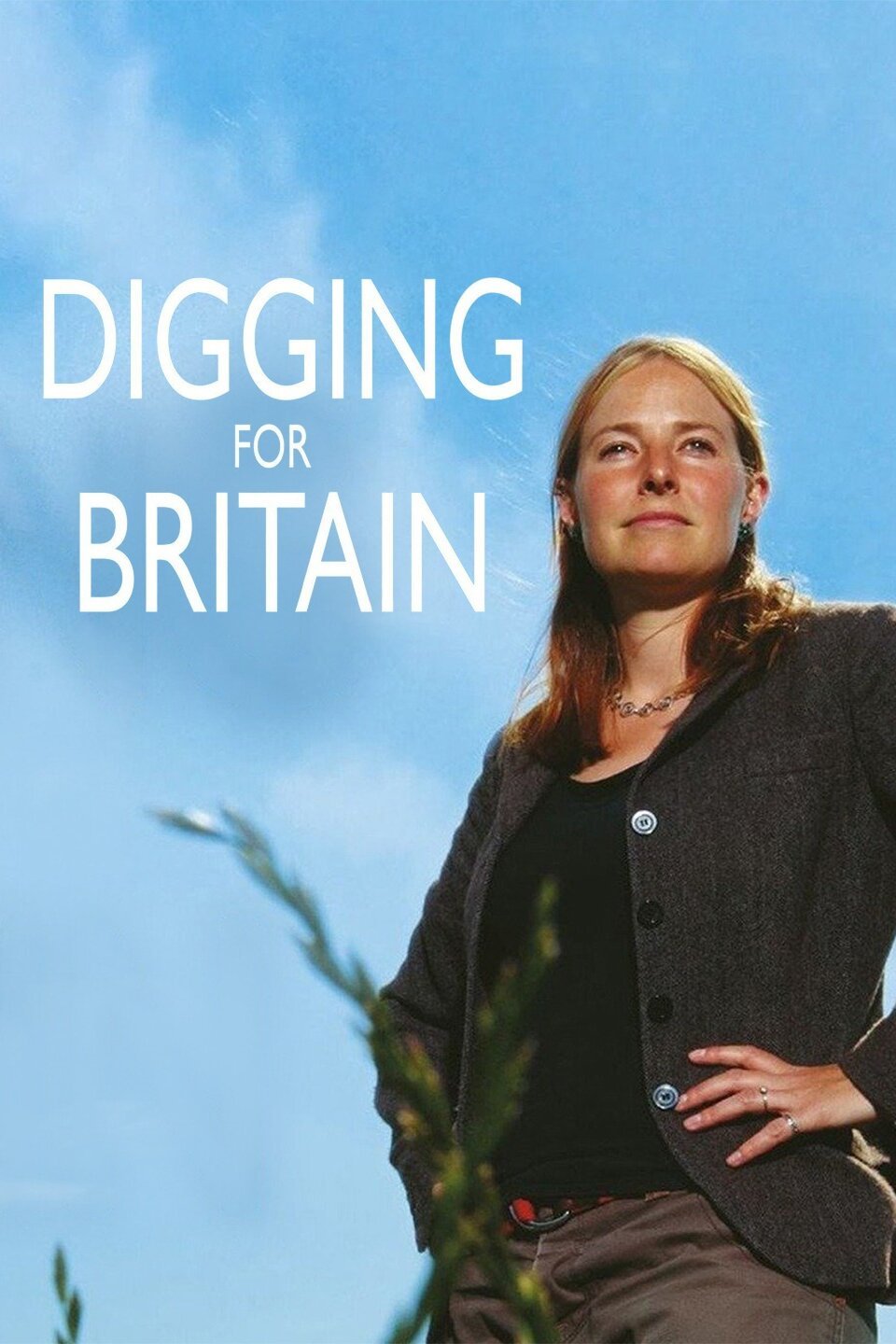 Digging for Britain - Rotten Tomatoes