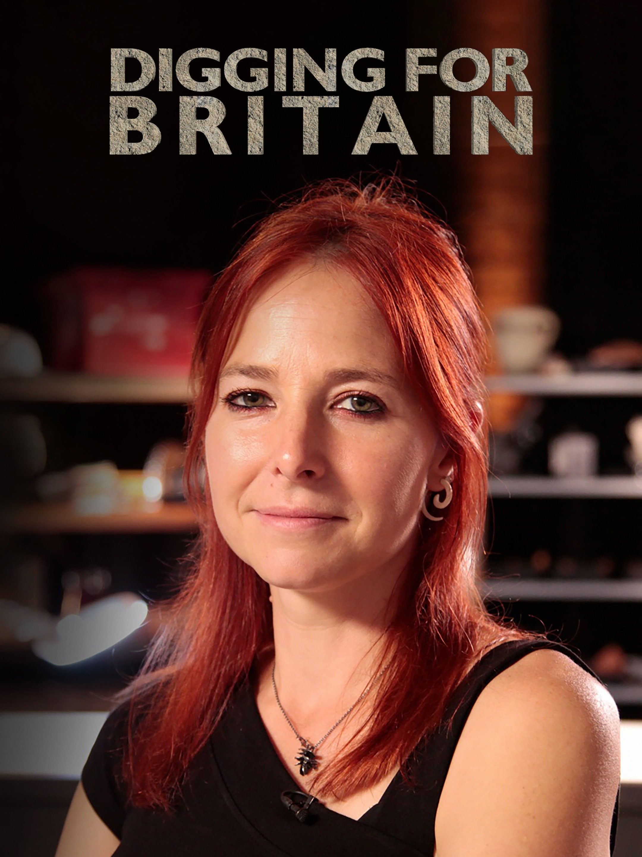 Digging for Britain: Season 6 Pictures - Rotten Tomatoes