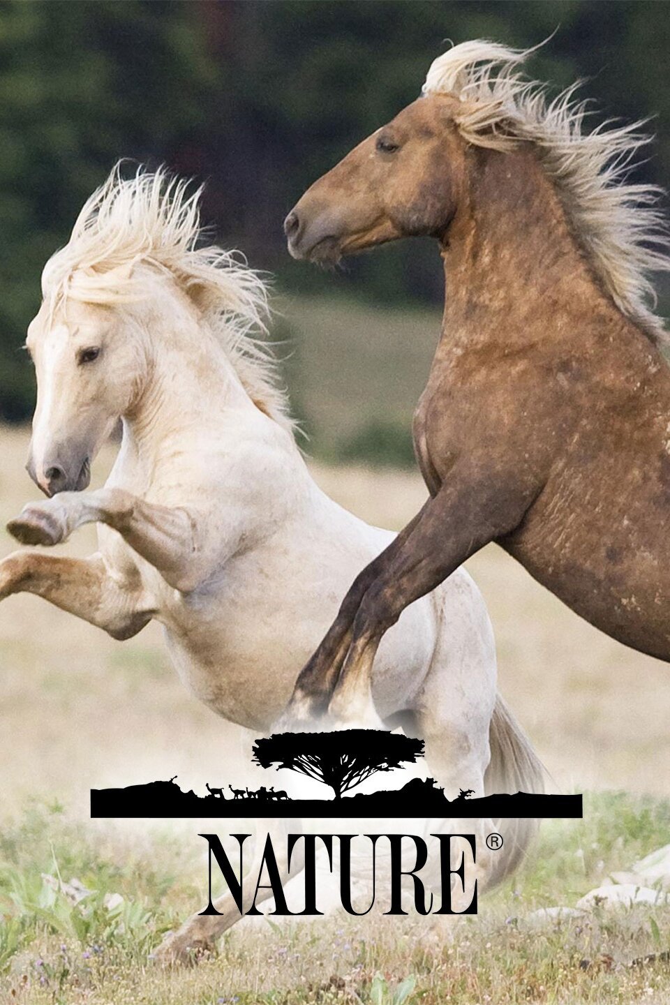 Nature - Rotten Tomatoes