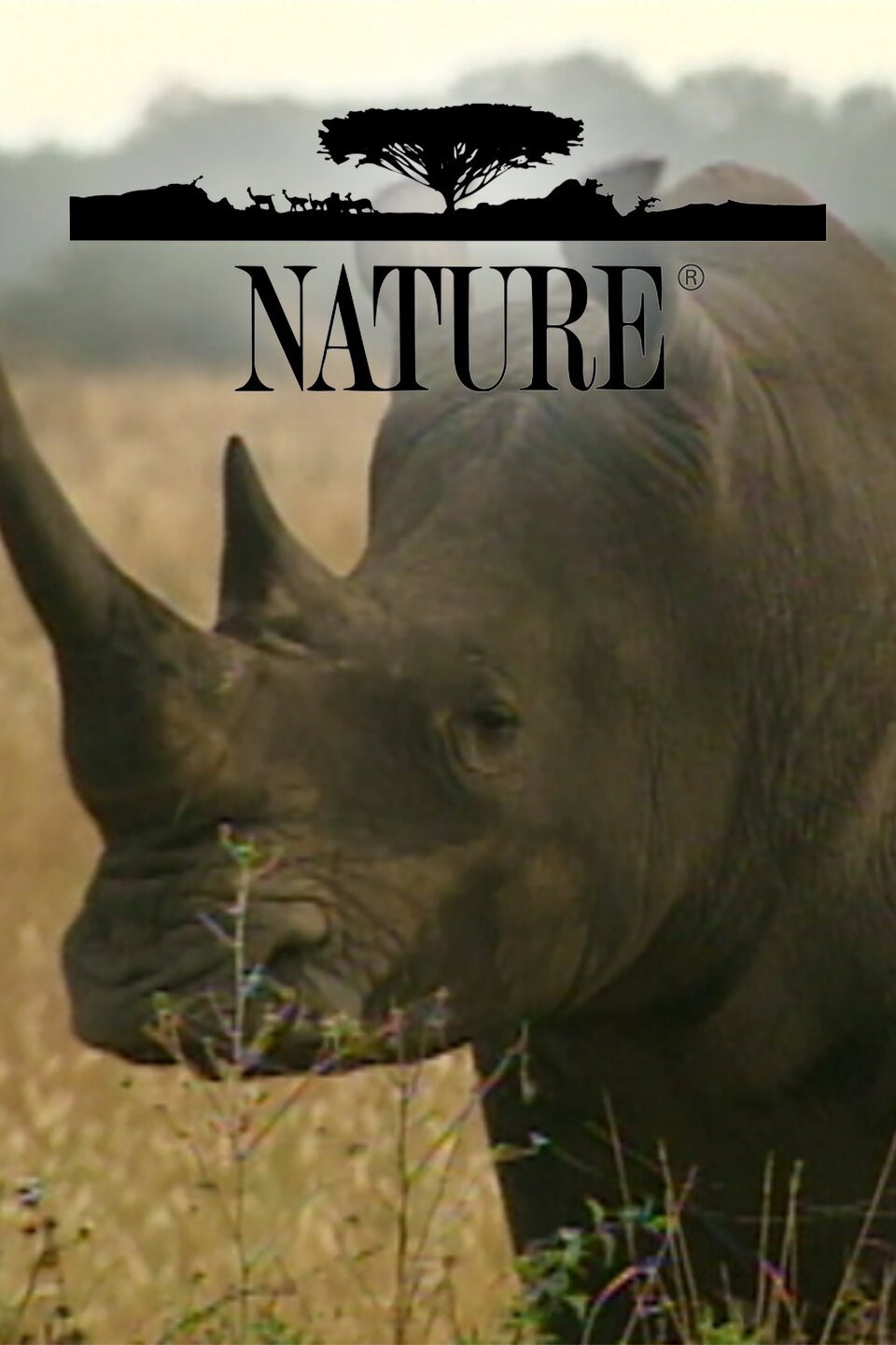 Nature - Rotten Tomatoes