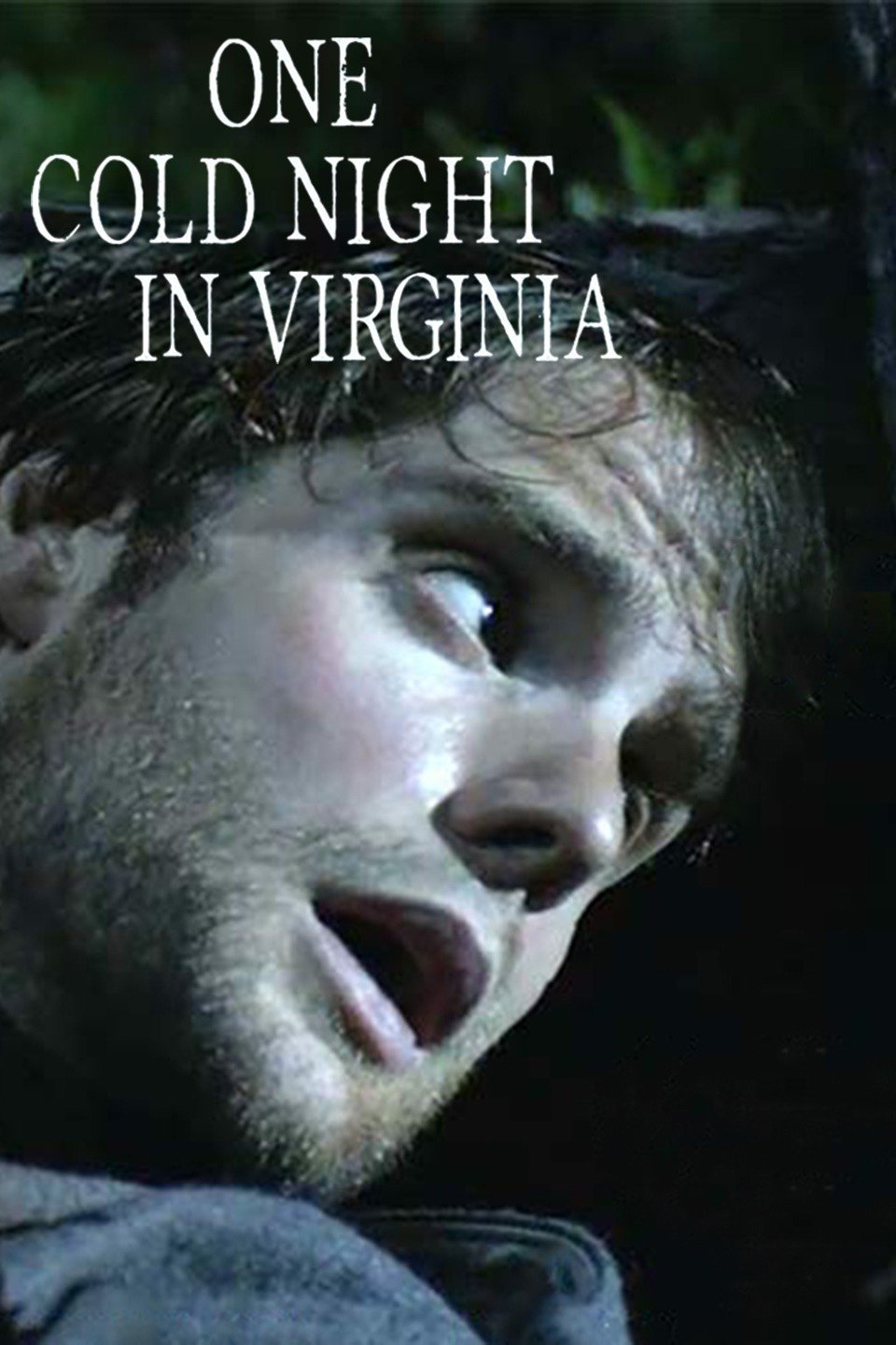 One Cold Night in Virginia - Rotten Tomatoes