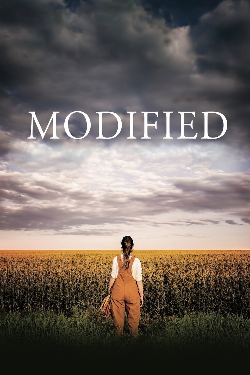 Modified - Movie Reviews