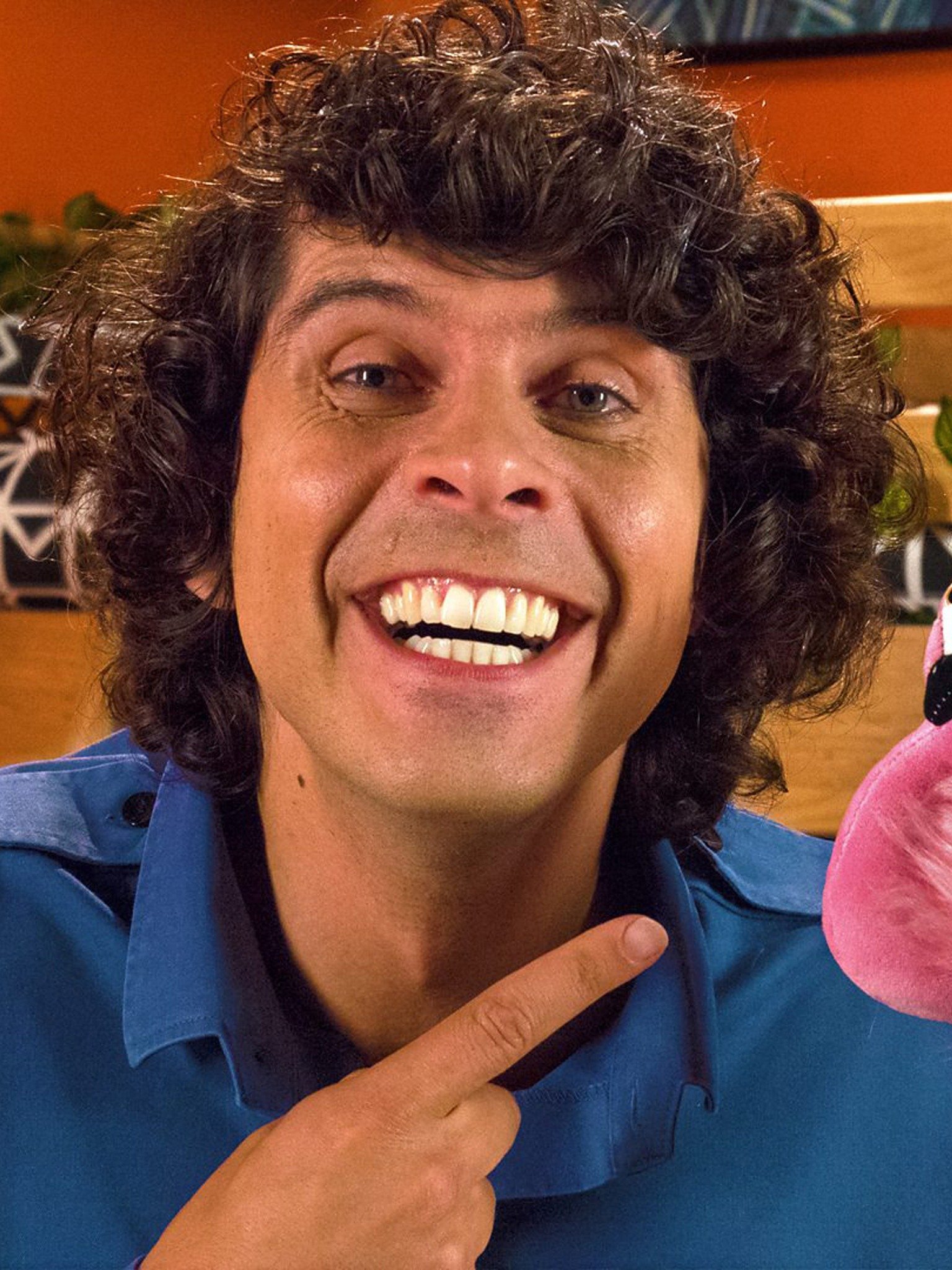 Andy & The Flamingo Pictures - Rotten Tomatoes