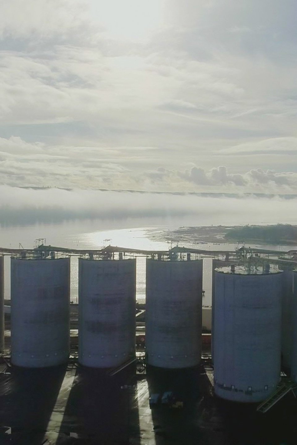 Lane Youmans Pictures - Rotten Tomatoes