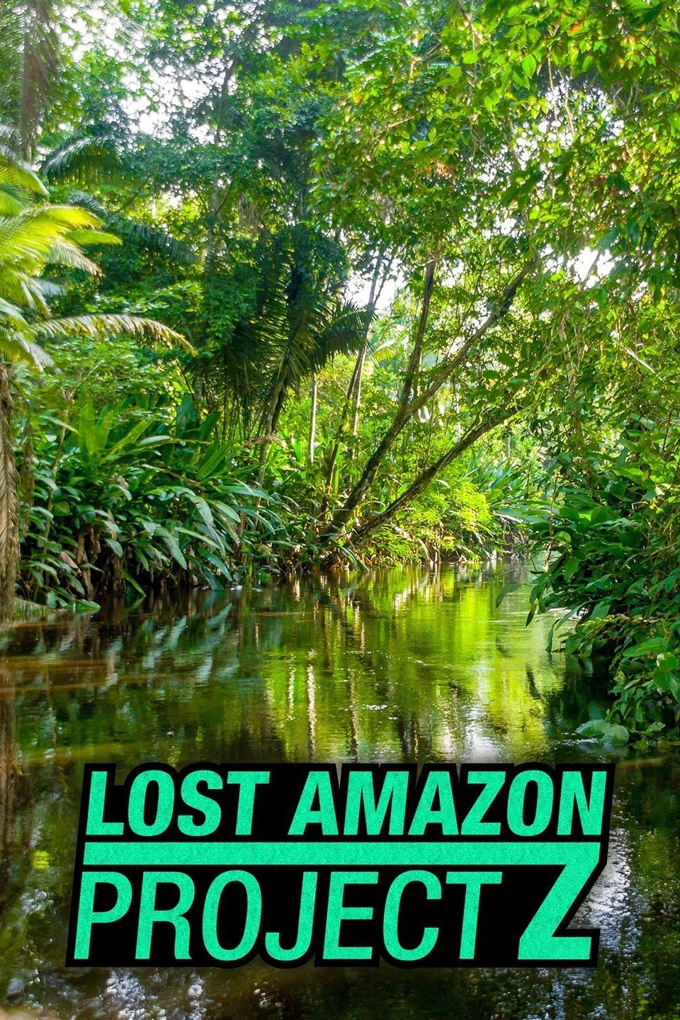 Lost Amazon: Project Z - Rotten Tomatoes