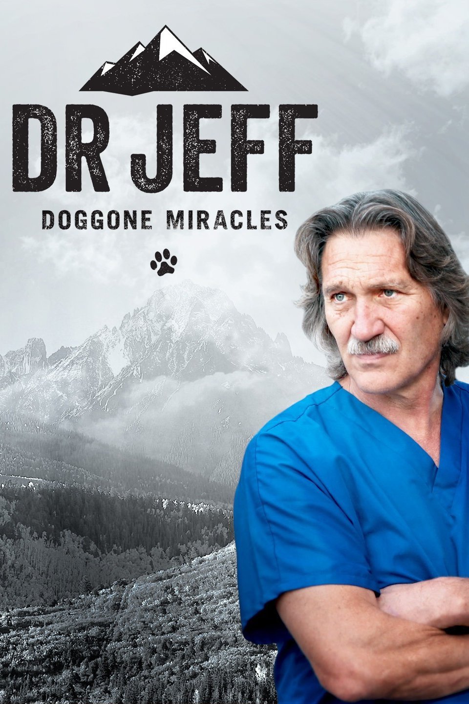 Dr. Jeff: Doggone Miracles - Rotten Tomatoes