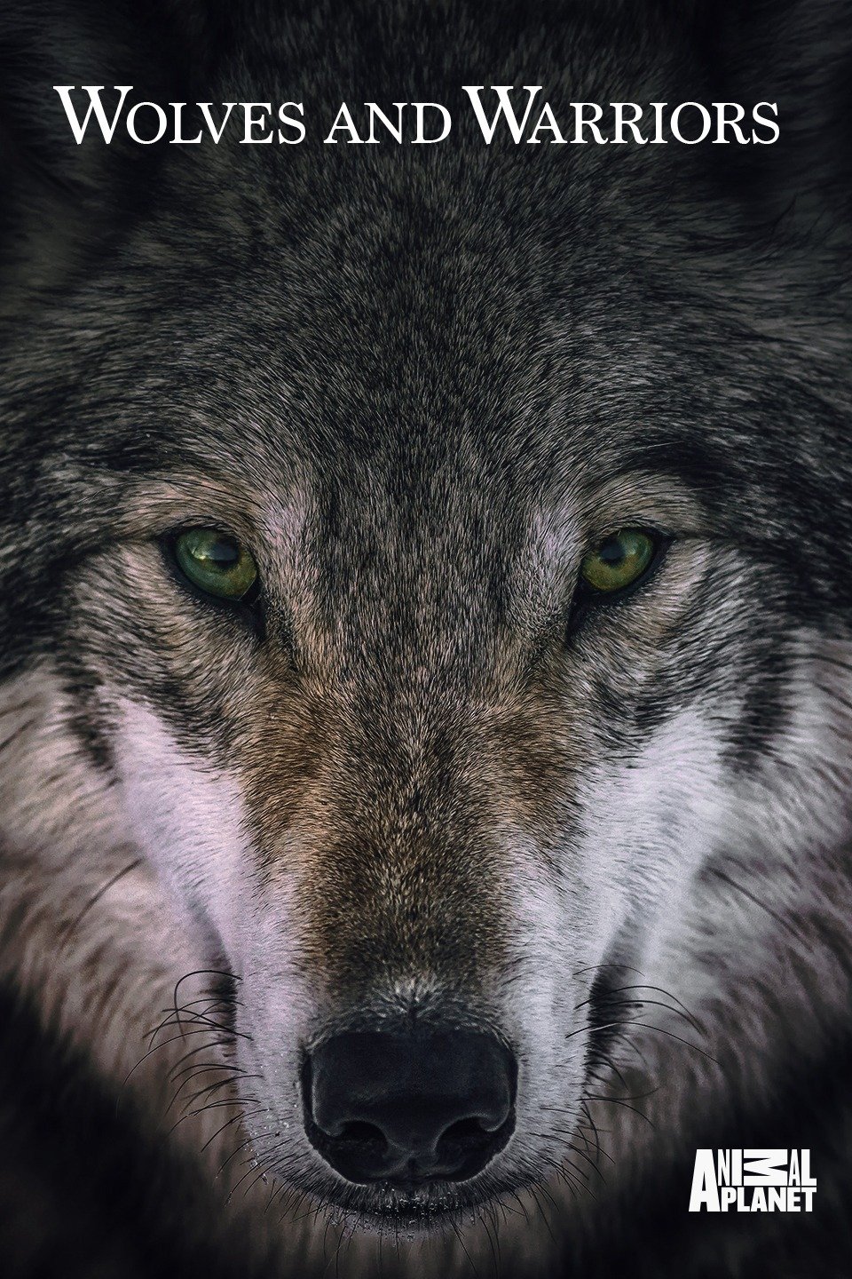 Wolves and Warriors Pictures - Rotten Tomatoes