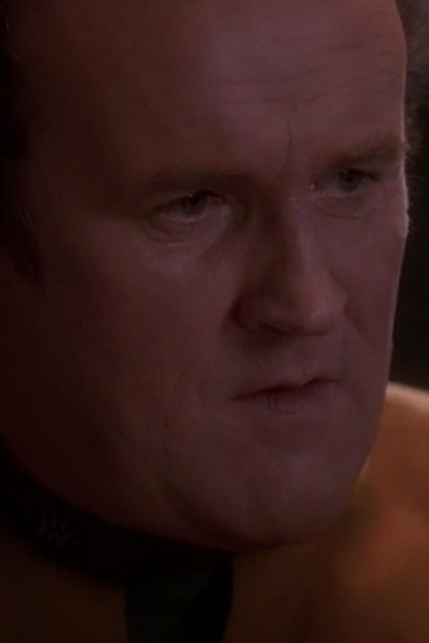 The Assignment Pictures - Rotten Tomatoes