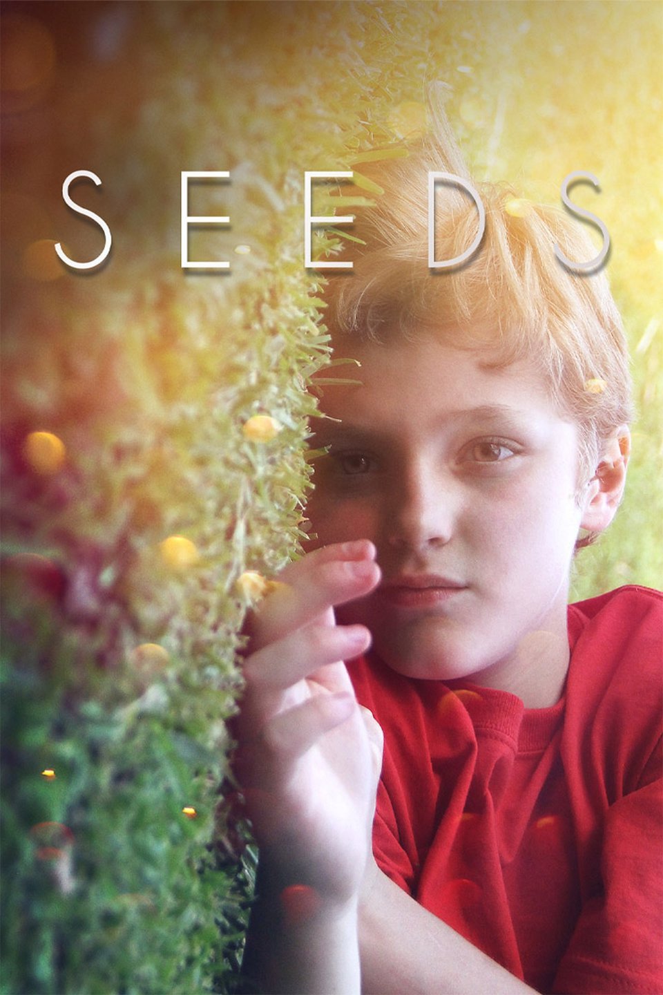 Seeds - Rotten Tomatoes