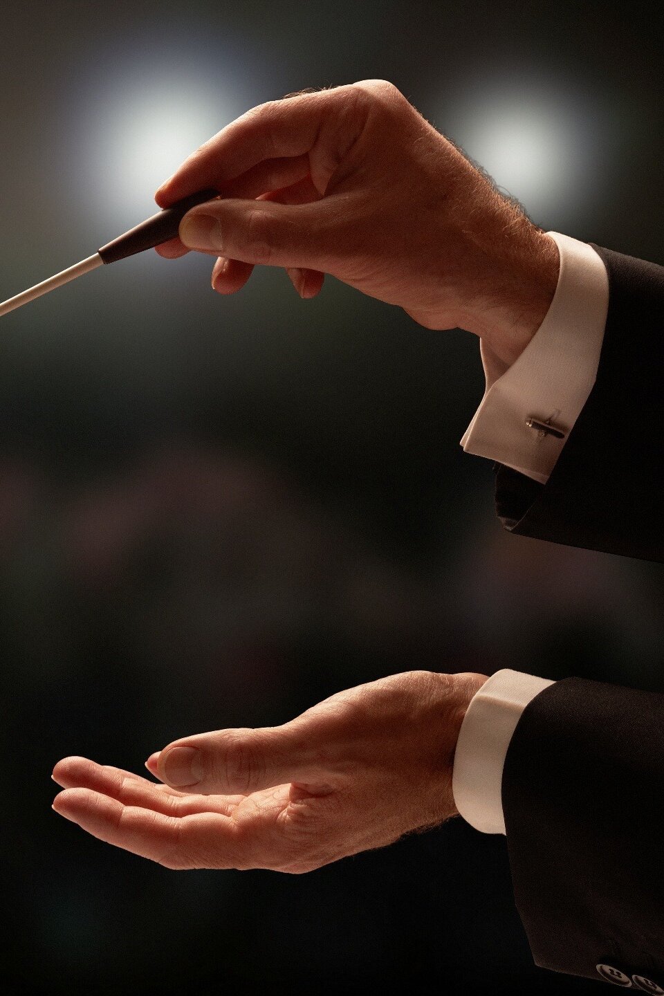 Richard Wagner - The Ring of the Nibelung Pictures - Rotten Tomatoes