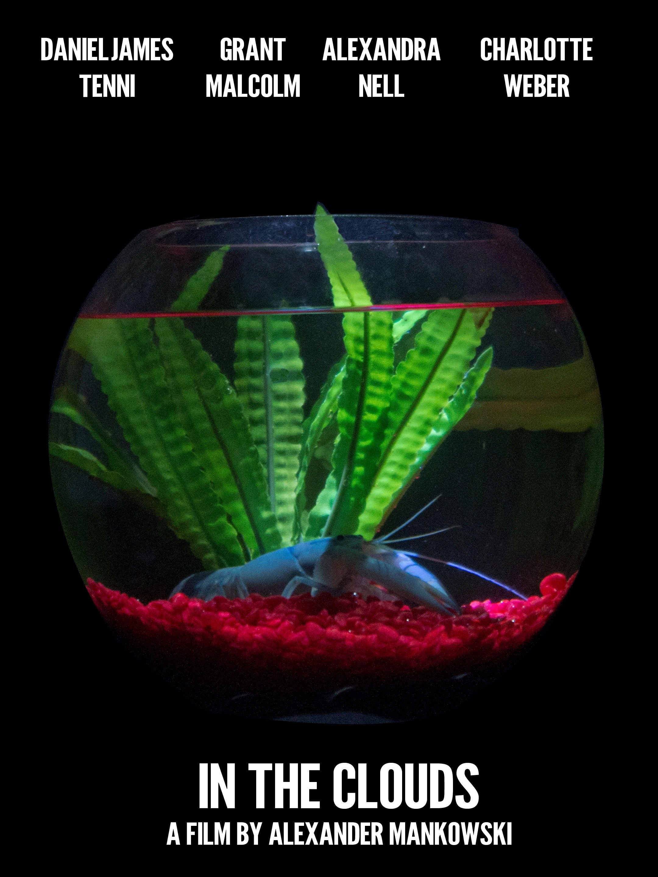 In the Clouds Pictures - Rotten Tomatoes