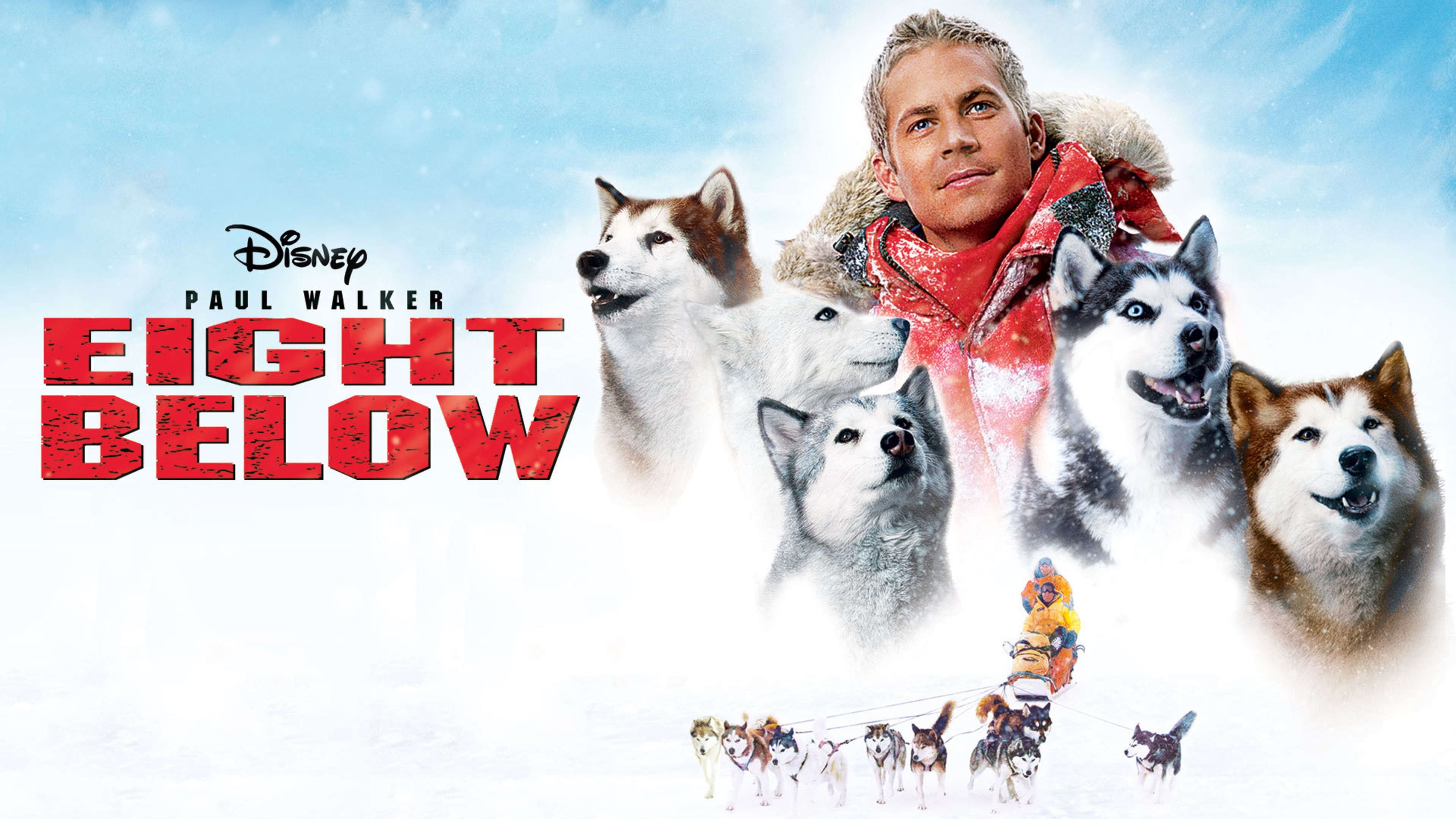 Paul Walker Eight Below Maya