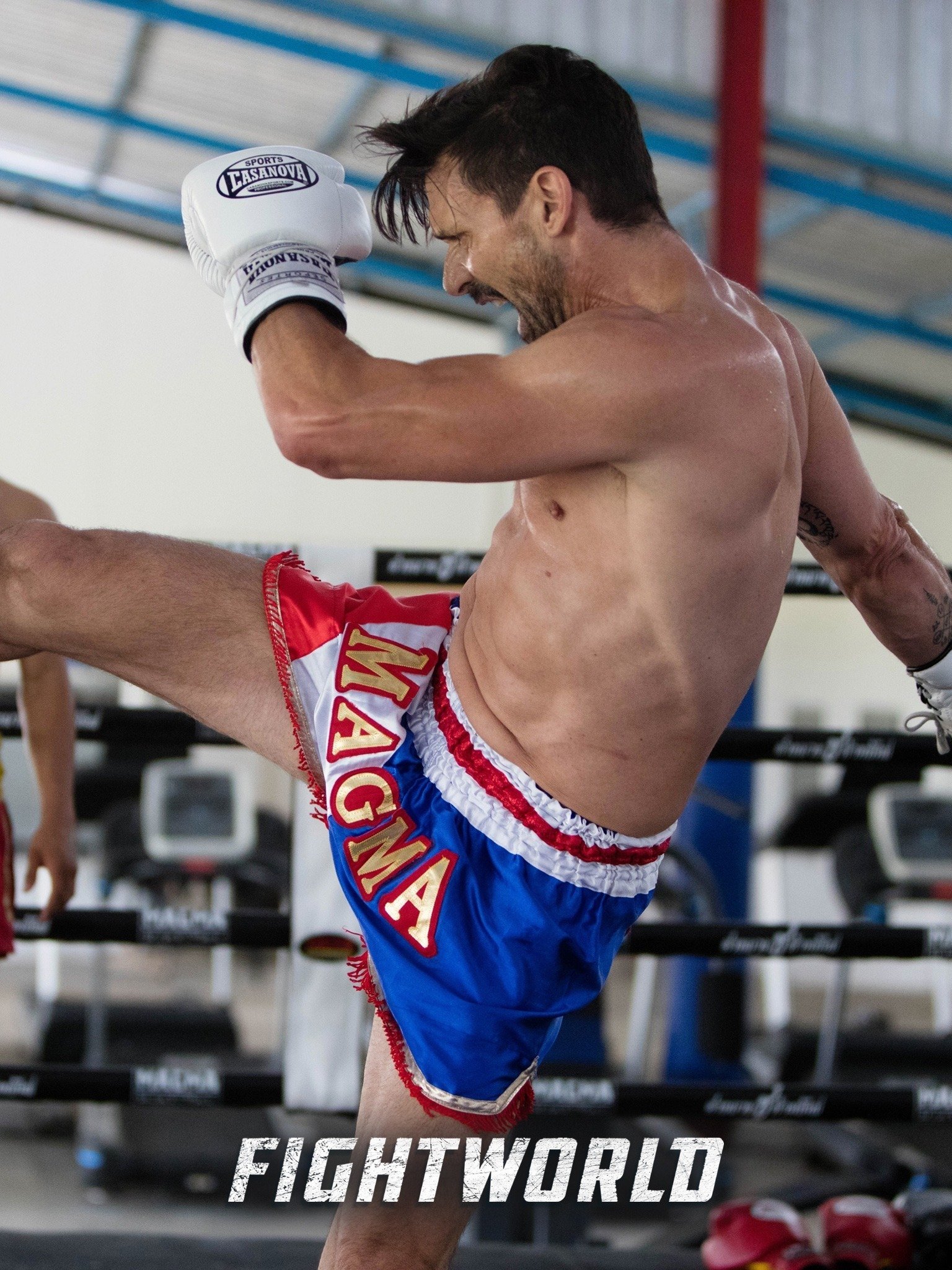 FightWorld - Rotten Tomatoes