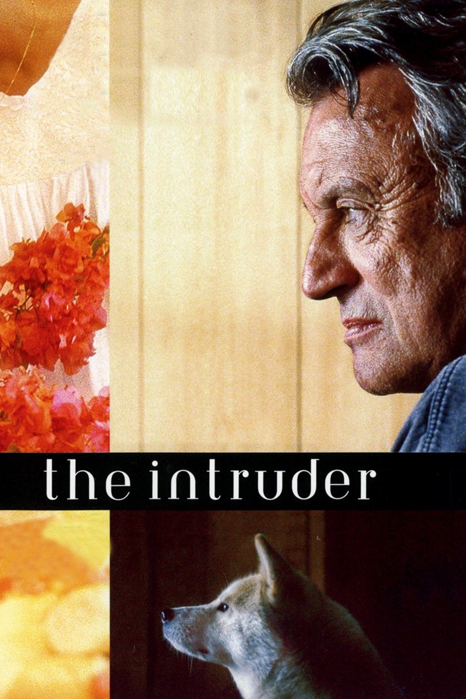 The Intruder - Rotten Tomatoes