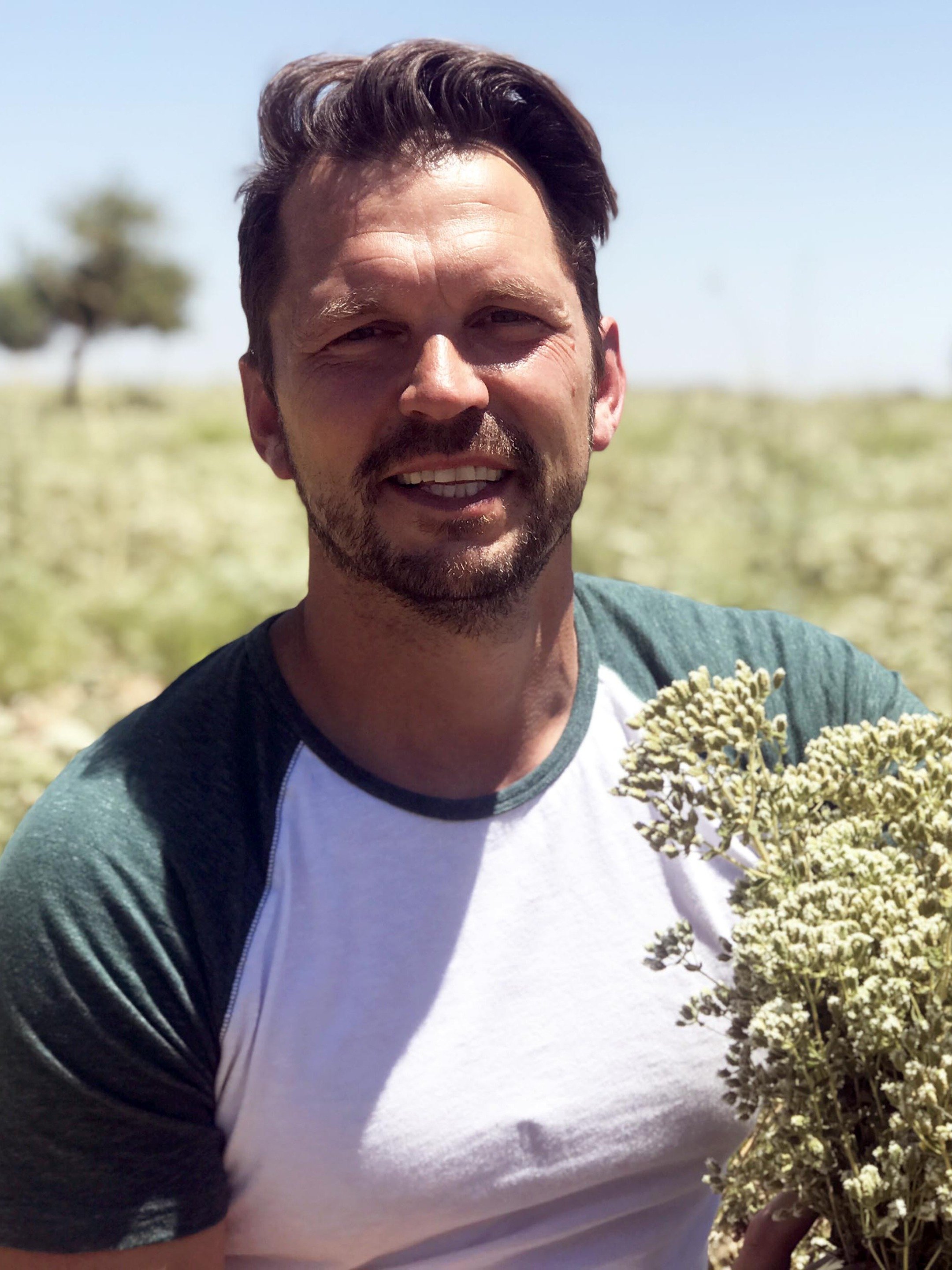 Oregano, Peanut Allergy, Ribena Pictures - Rotten Tomatoes