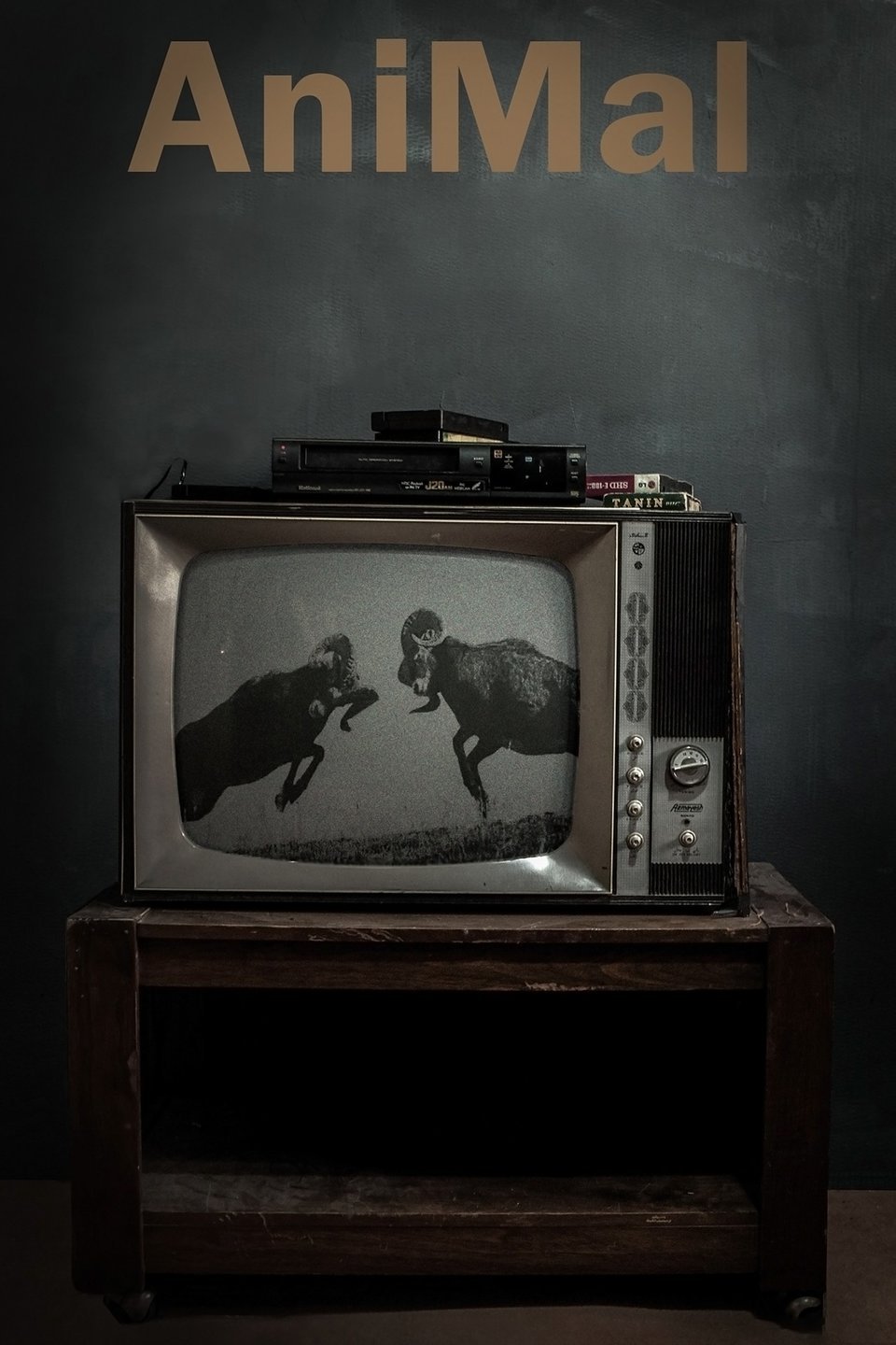 Animal - Rotten Tomatoes