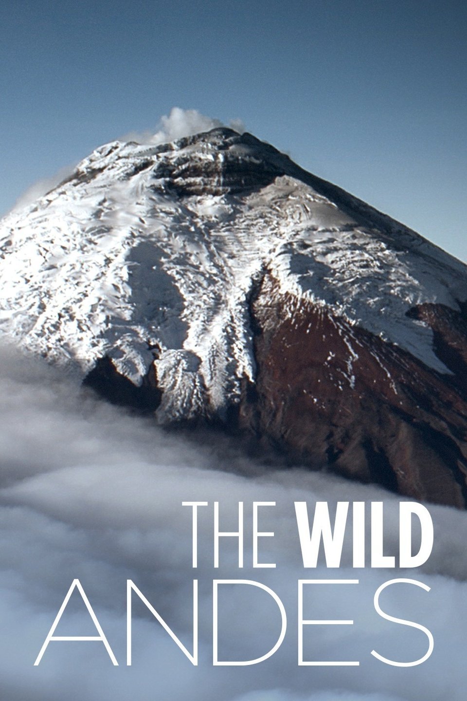 The Wild Andes - Rotten Tomatoes