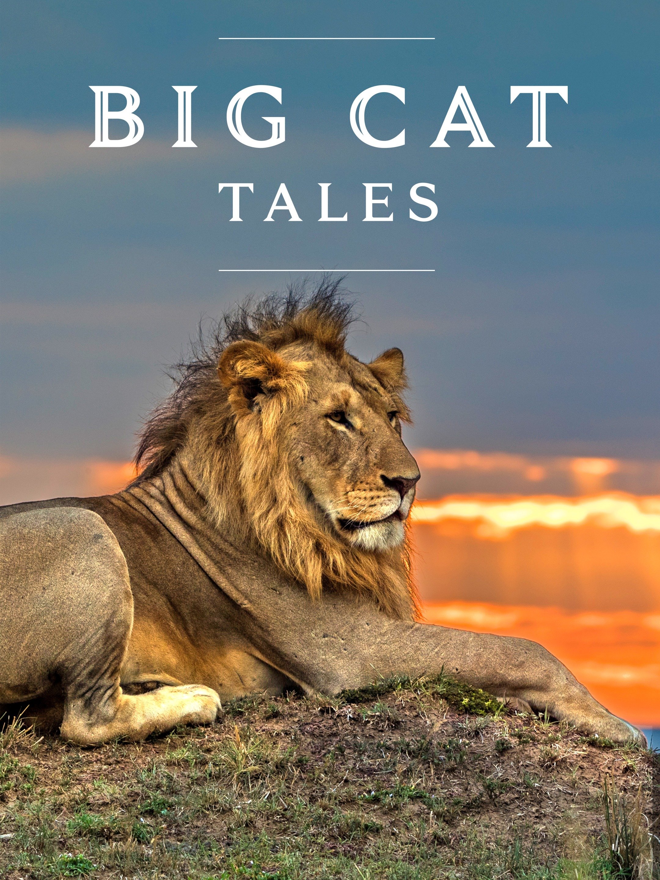 Big Cat Tales - Rotten Tomatoes