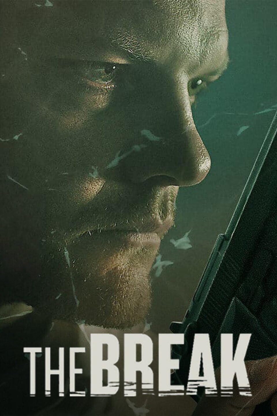 The Break - Rotten Tomatoes