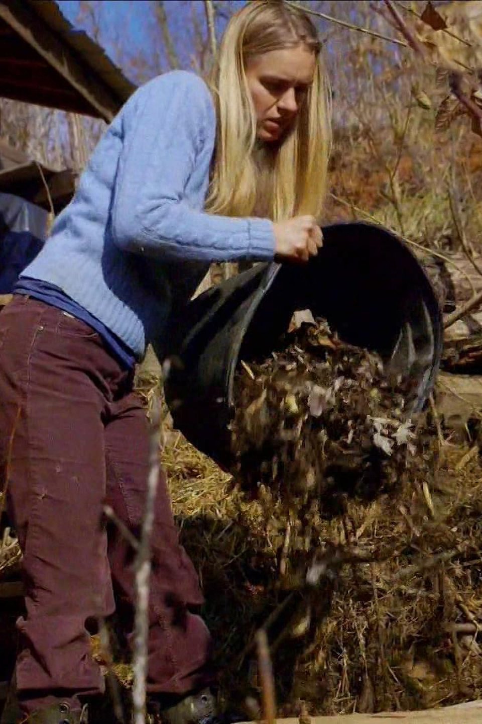 Branch by Branch Pictures - Rotten Tomatoes