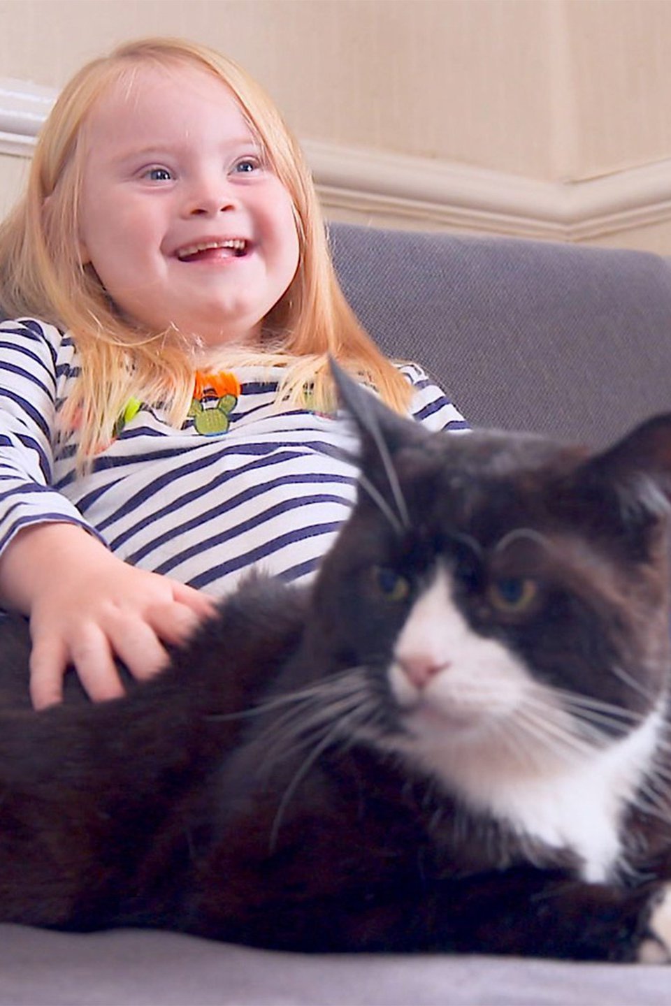 Frank the Cat Pictures - Rotten Tomatoes