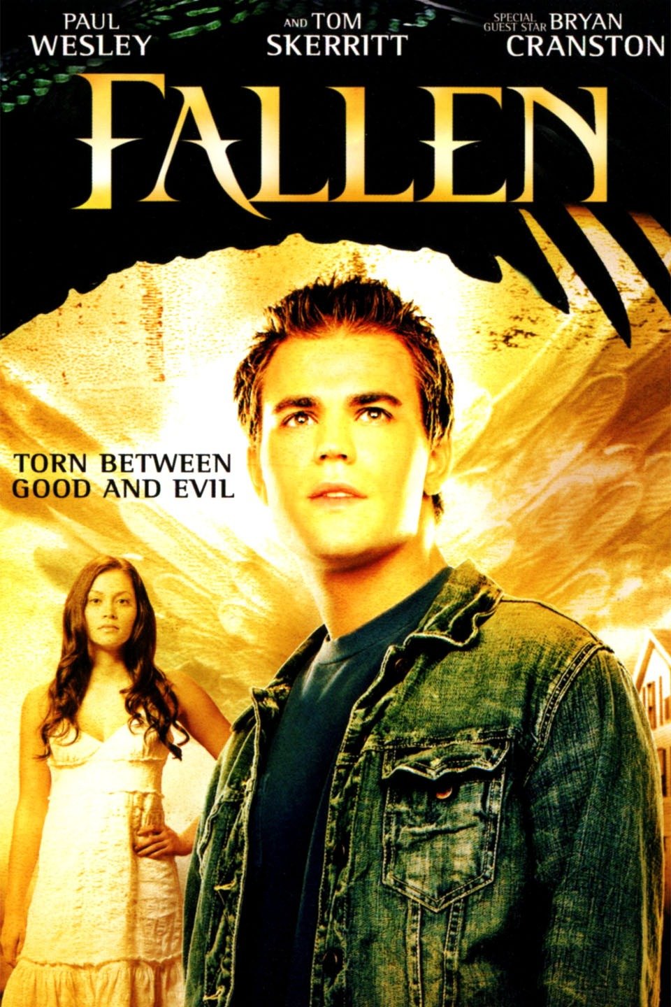 Fallen Pictures - Rotten Tomatoes