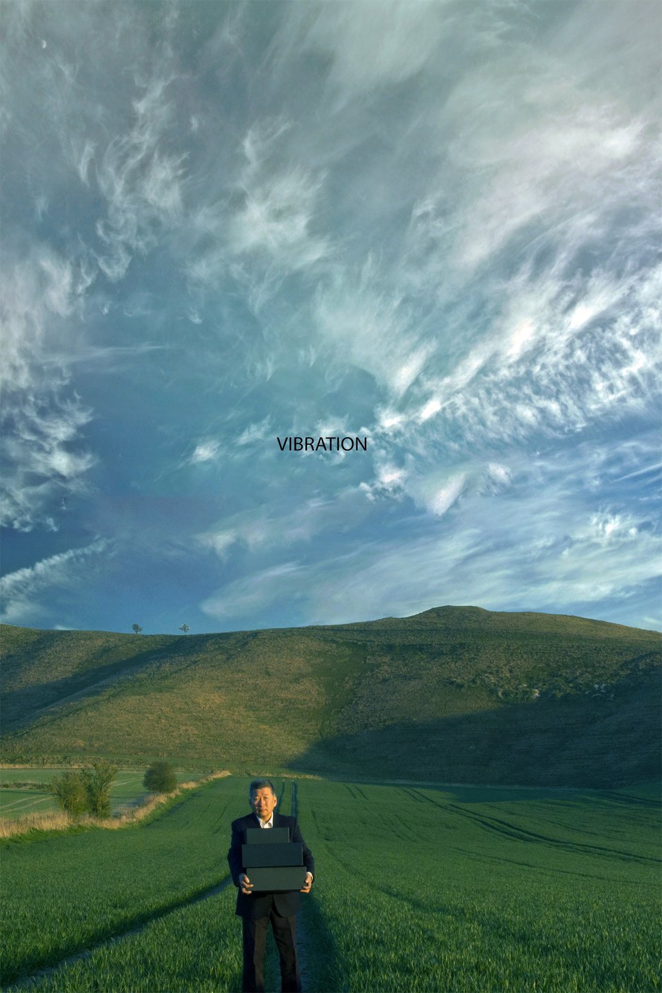 Vibration - Rotten Tomatoes