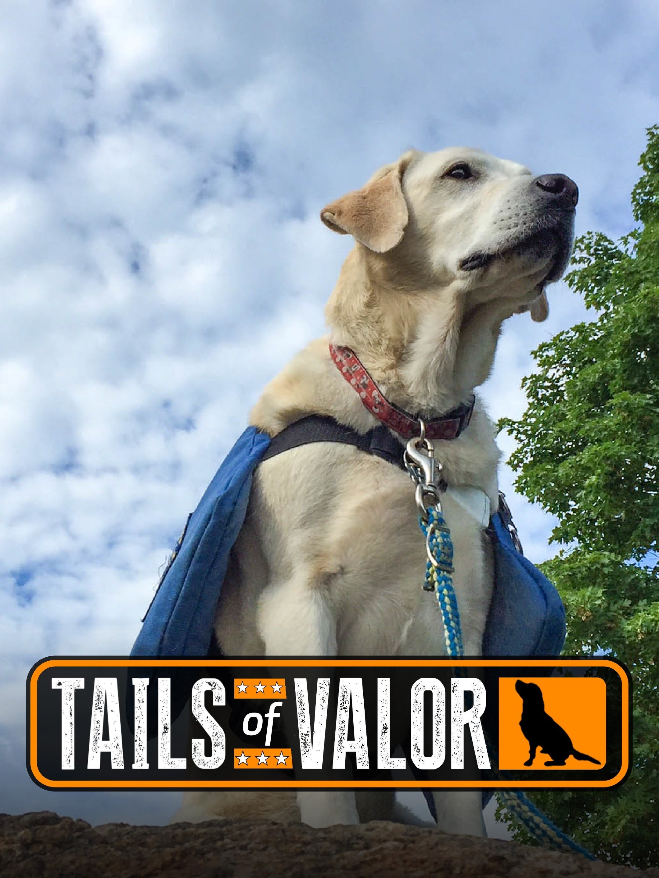 Tails of Valor - Rotten Tomatoes