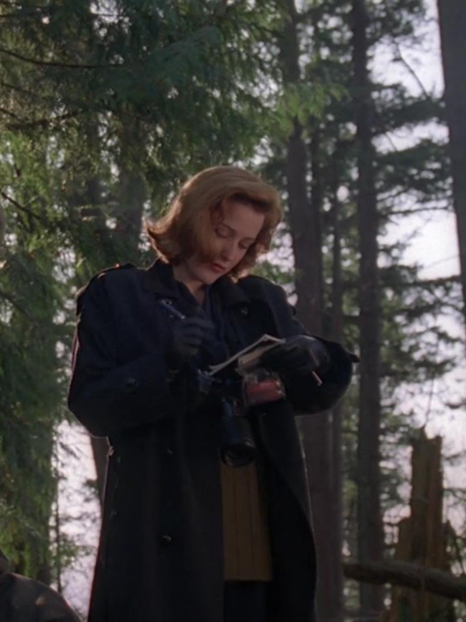 E.B.E. Pictures - Rotten Tomatoes