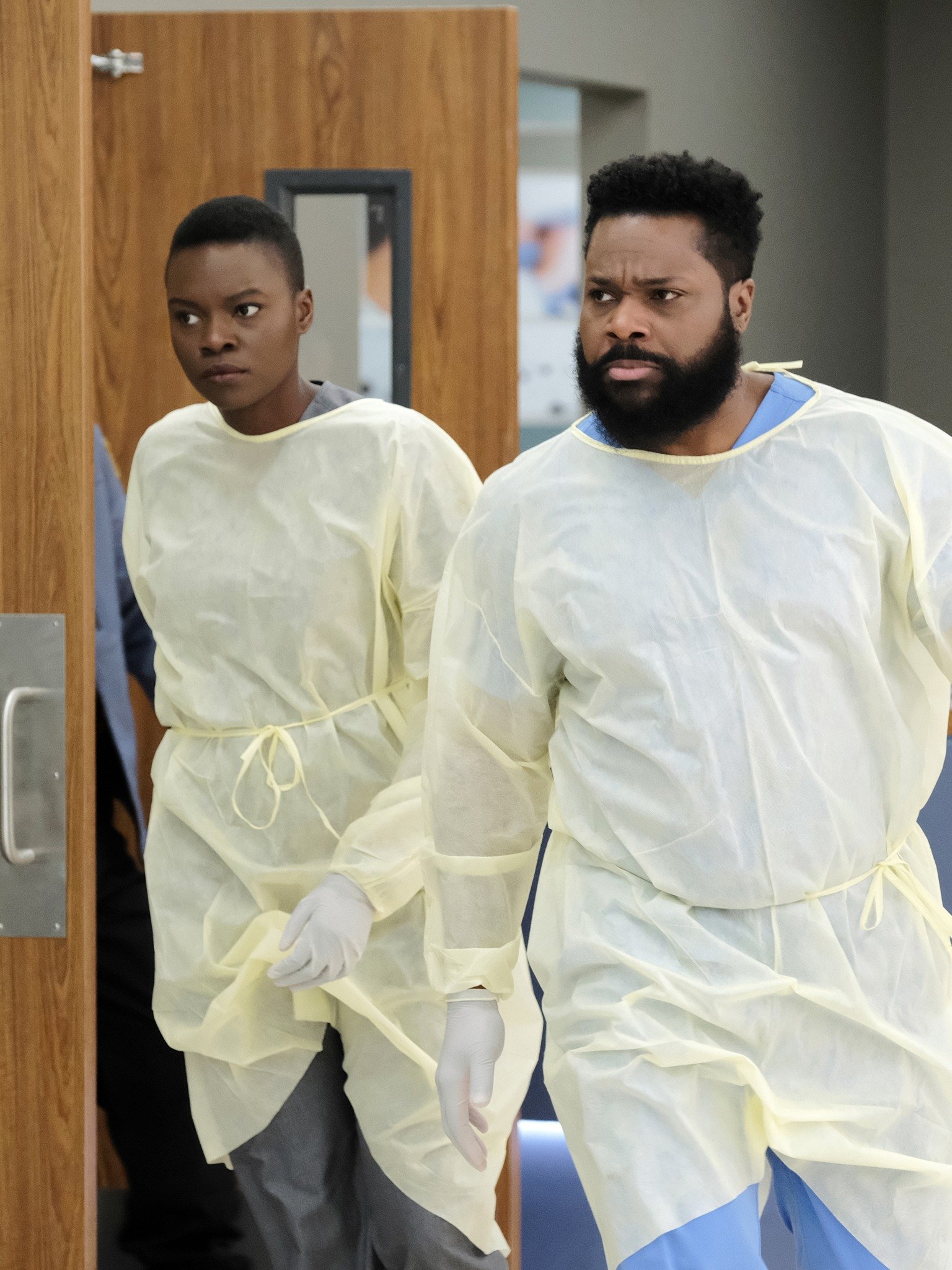 If Not Now, When? Pictures - Rotten Tomatoes