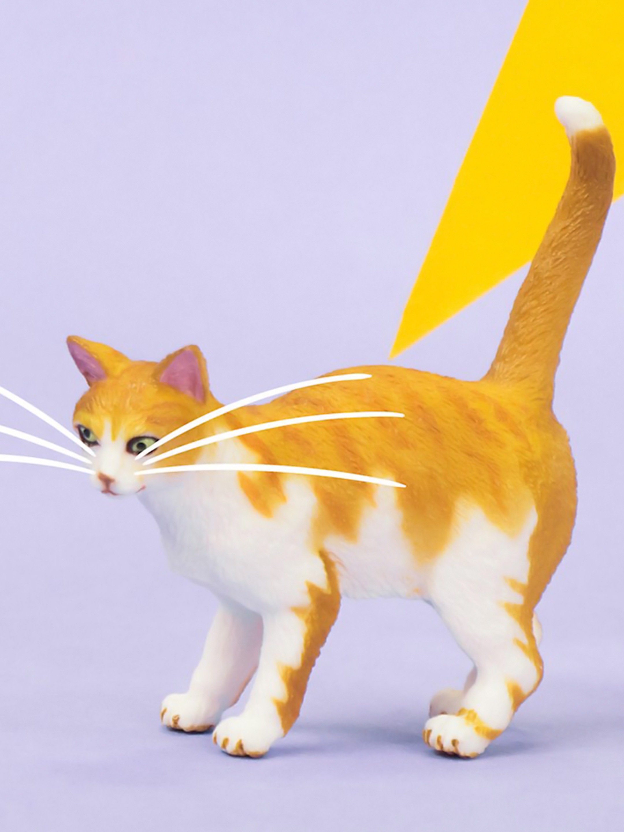 Cat Pictures - Rotten Tomatoes