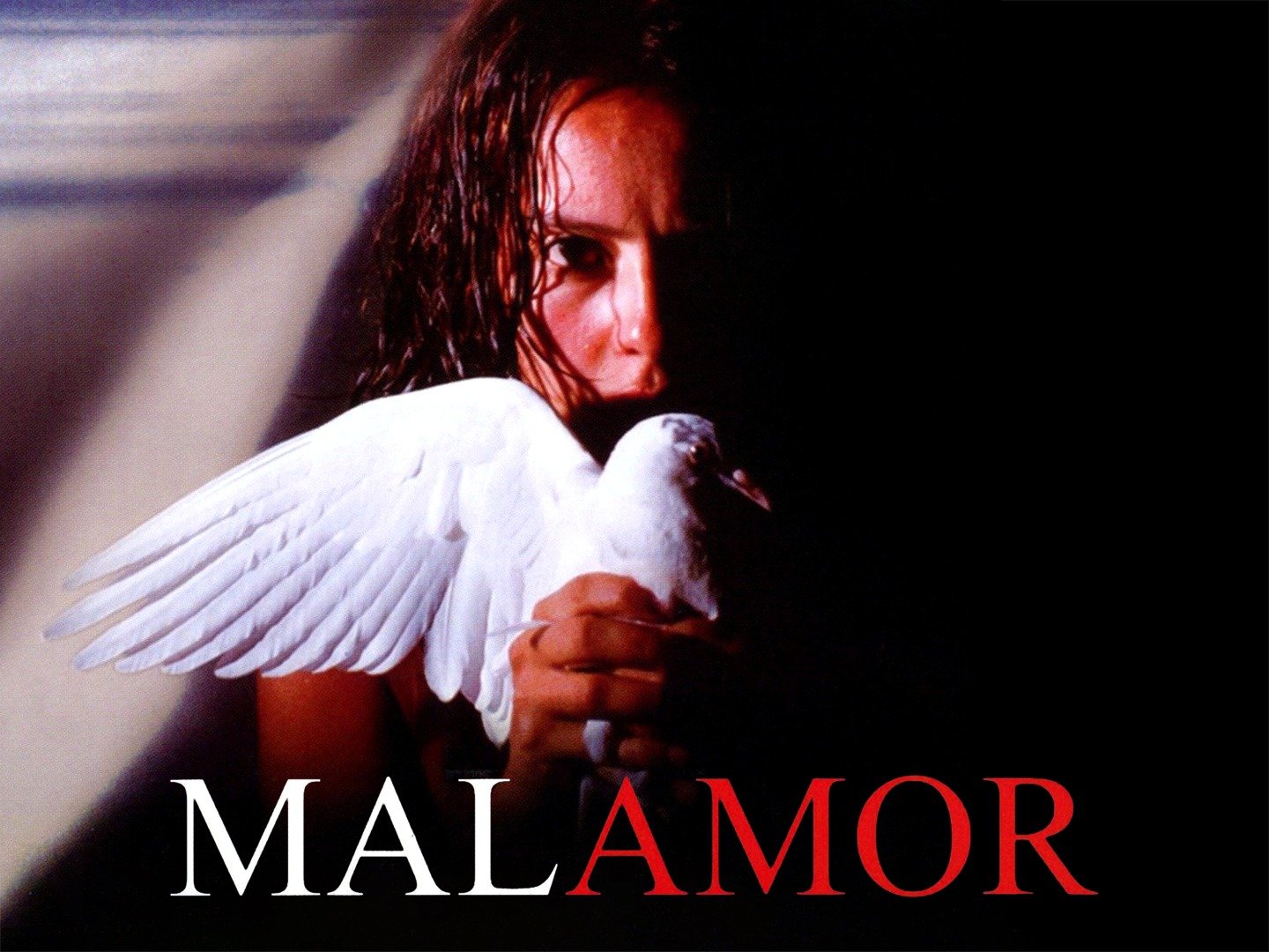 Malamor (2003) - Rotten Tomatoes