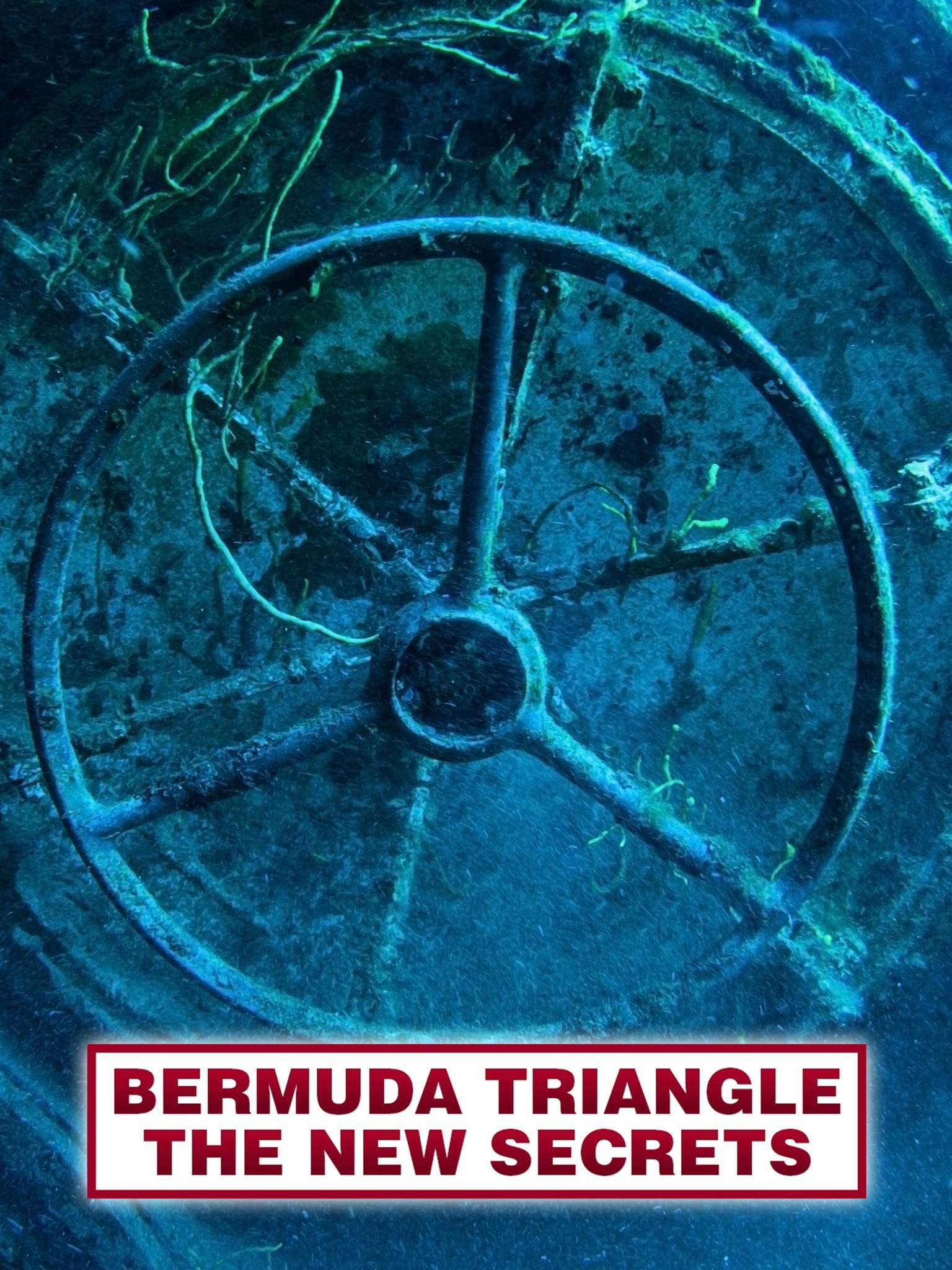 Bermuda Triangle: The New Secrets - Rotten Tomatoes