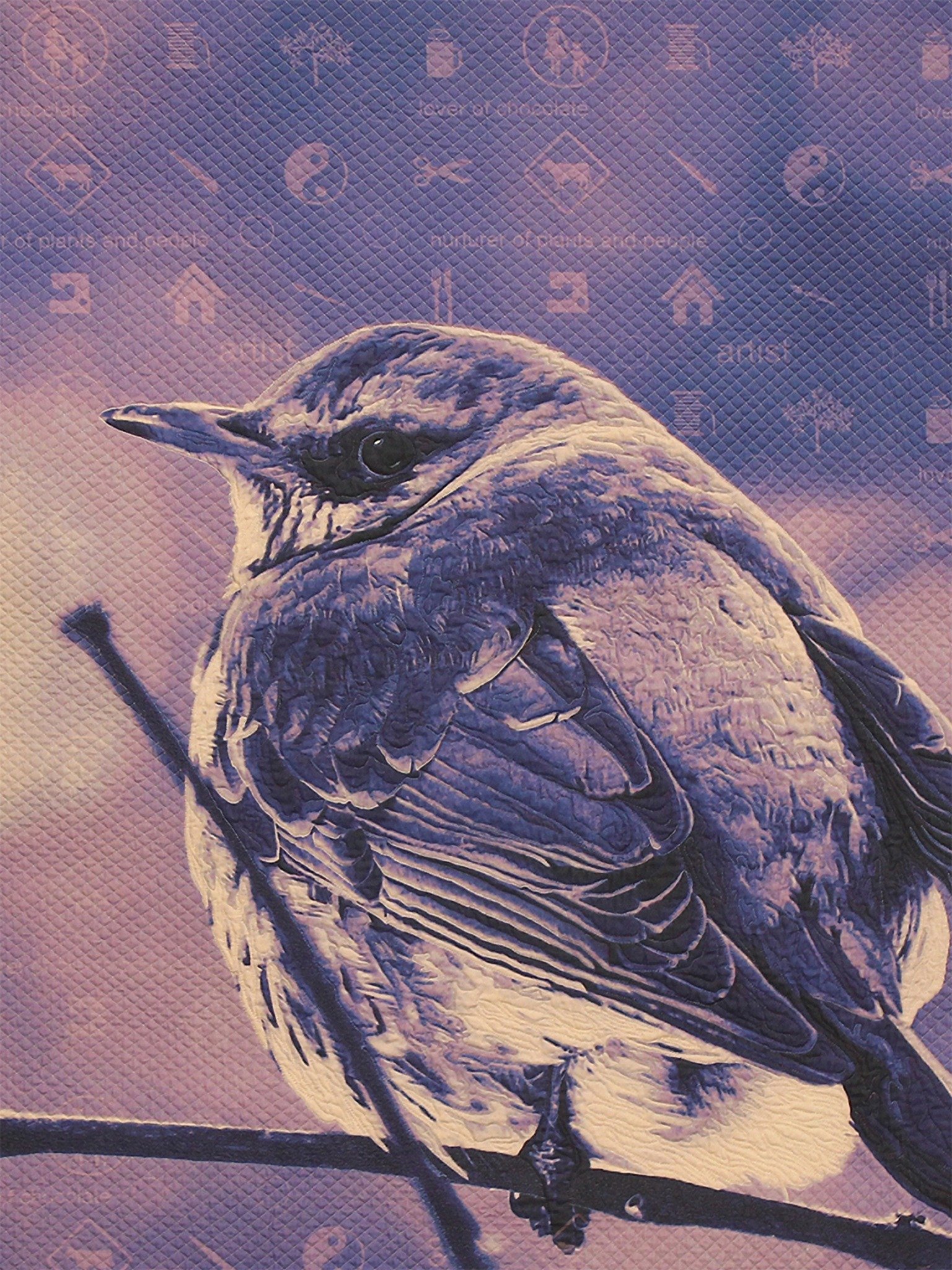 Yin and Yang Pictures - Rotten Tomatoes