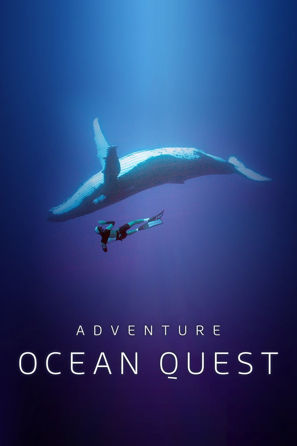 Adventure Ocean Quest - Special - Rotten Tomatoes