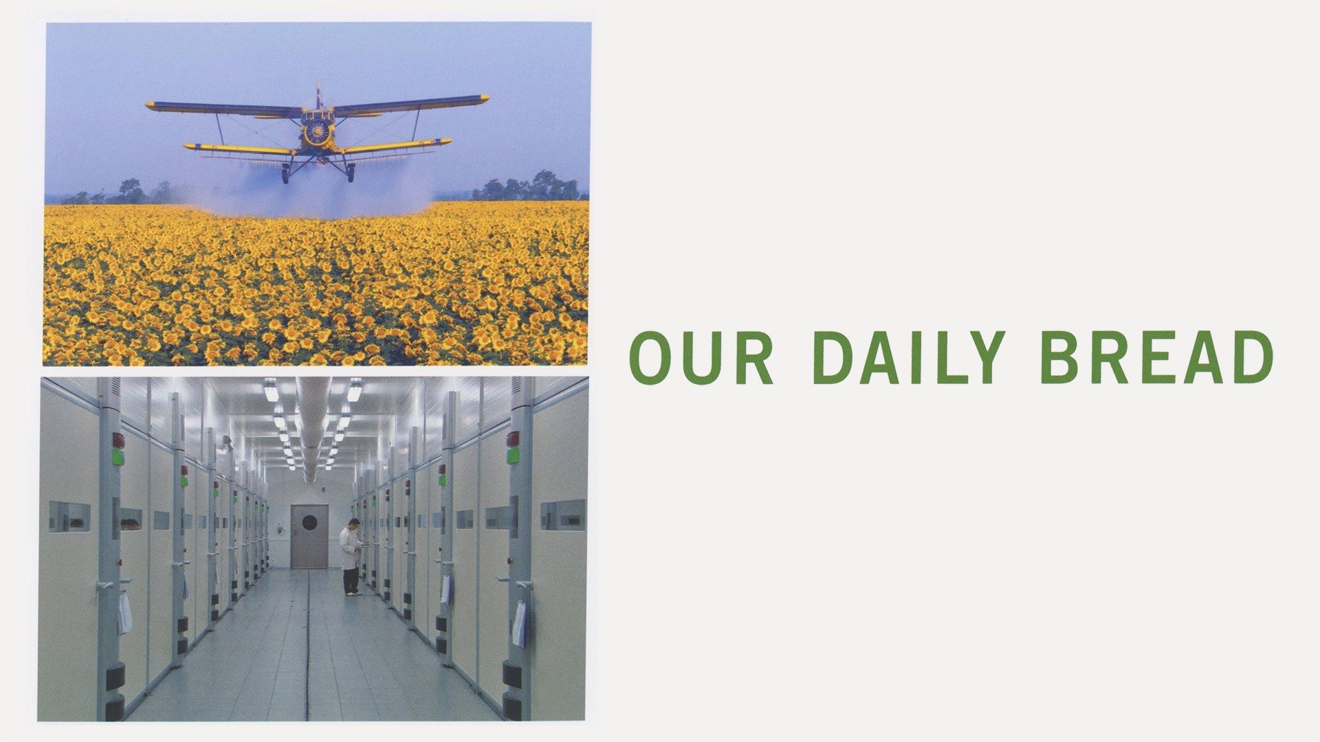 Our Daily Bread 2005