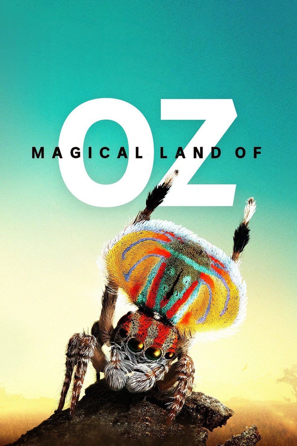 Magical Land of Oz Pictures - Rotten Tomatoes