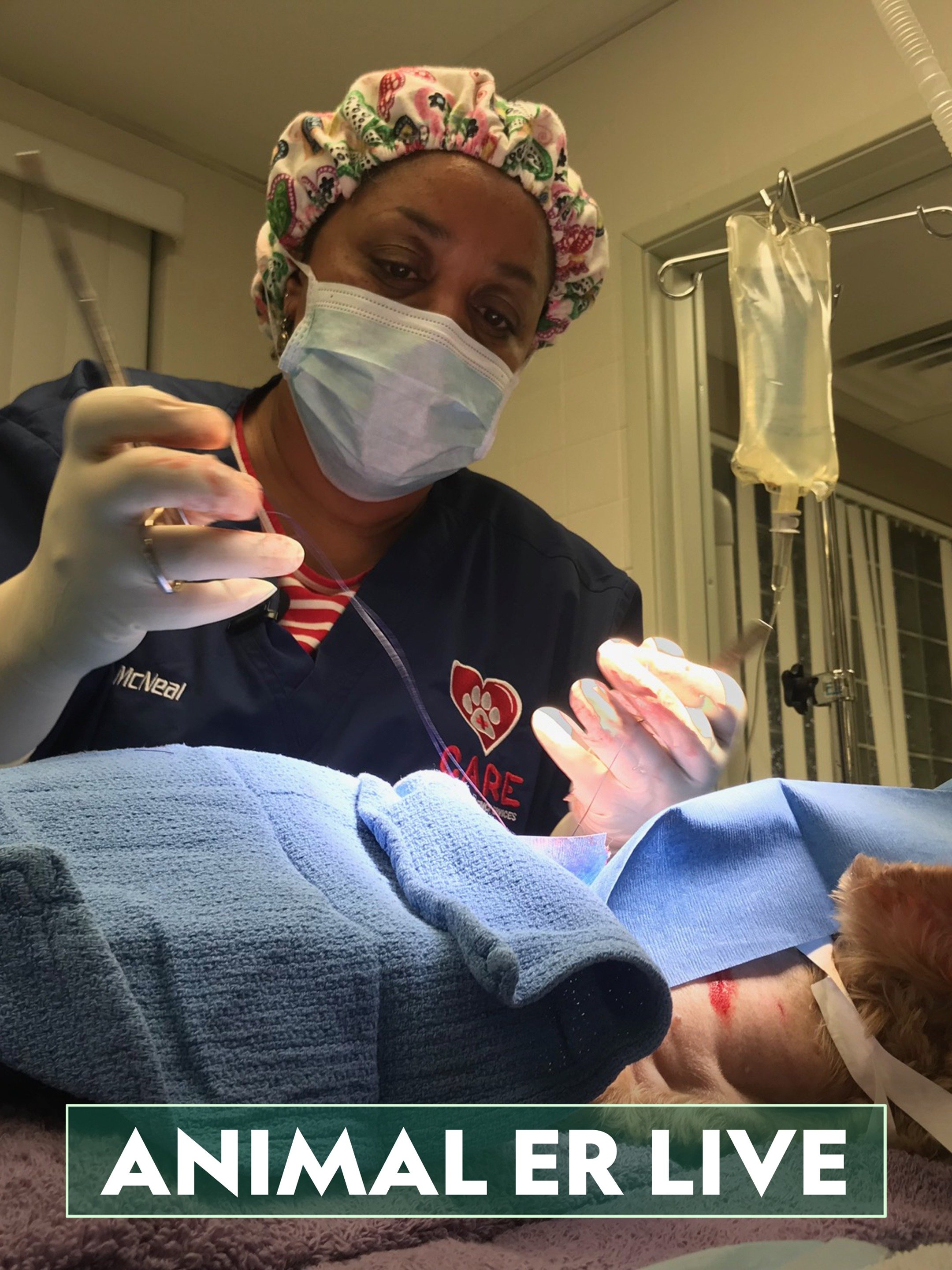 Animal ER Live Pictures - Rotten Tomatoes