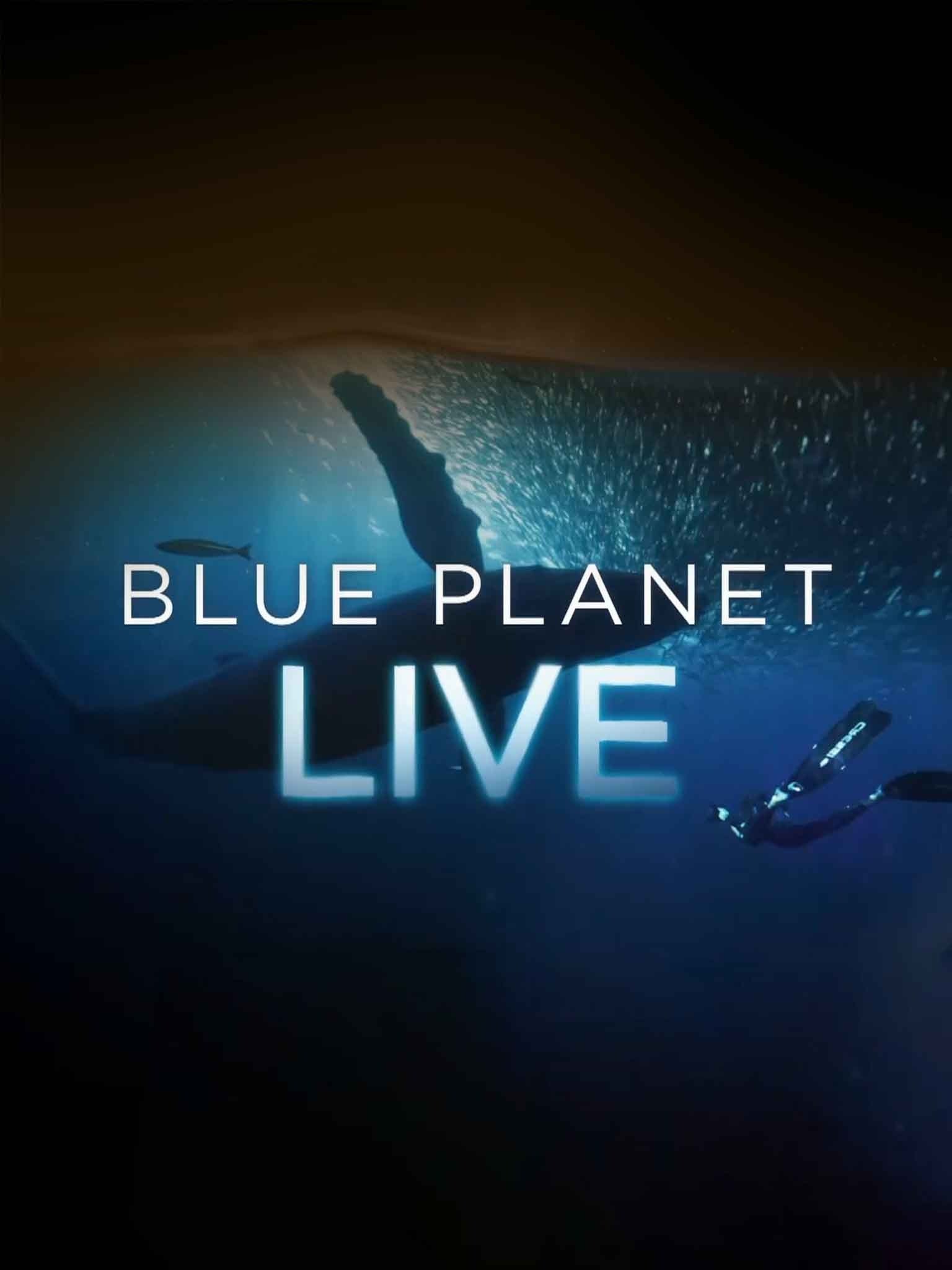Blue Planet Live - Rotten Tomatoes