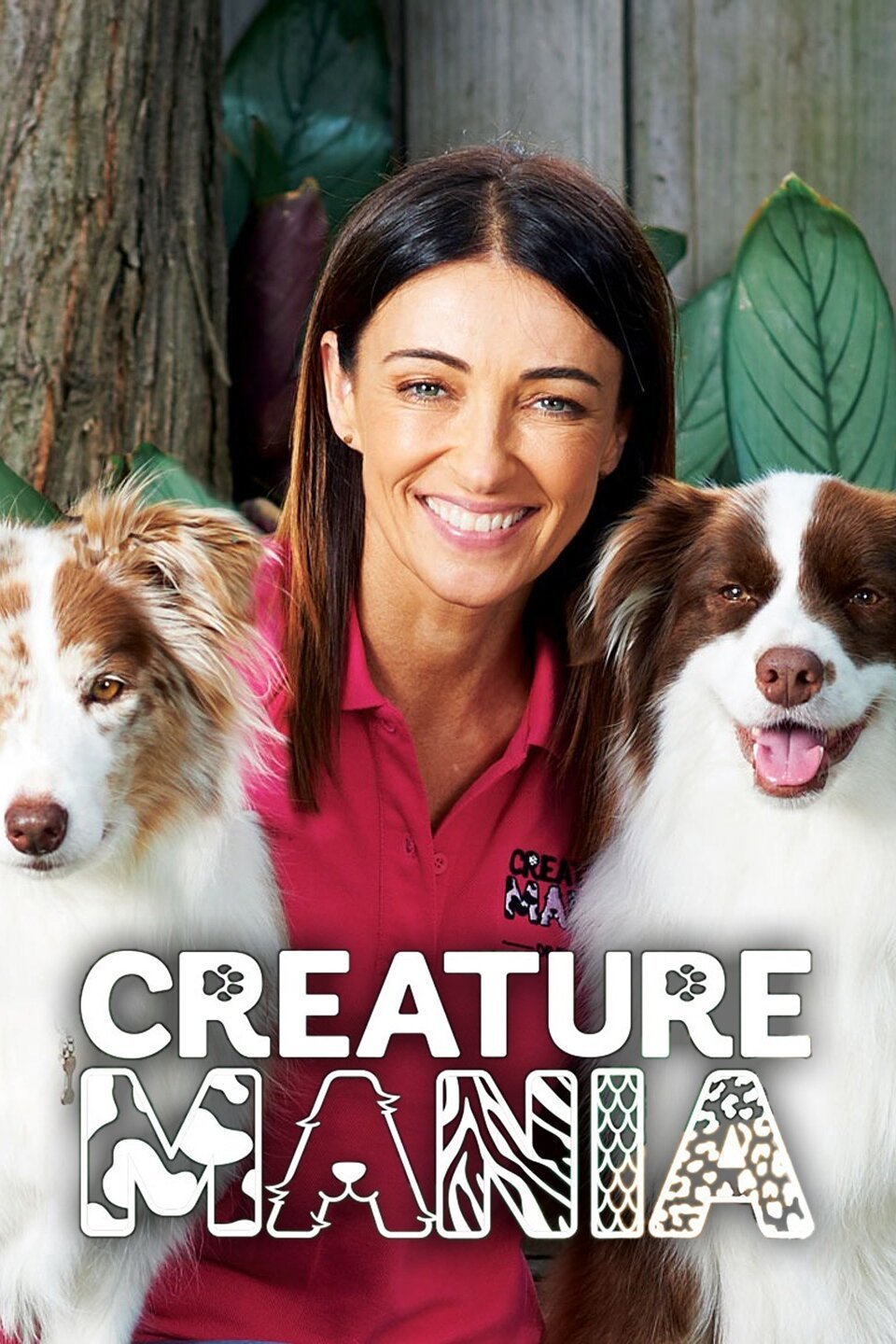 Creature Mania: Season 2 Pictures - Rotten Tomatoes