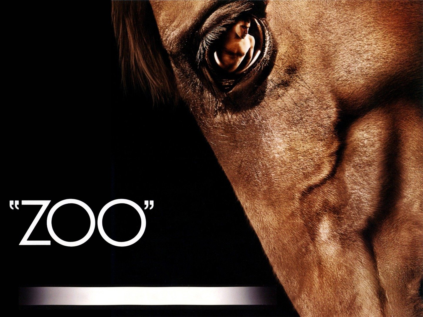 Zoo (2007) - Rotten Tomatoes