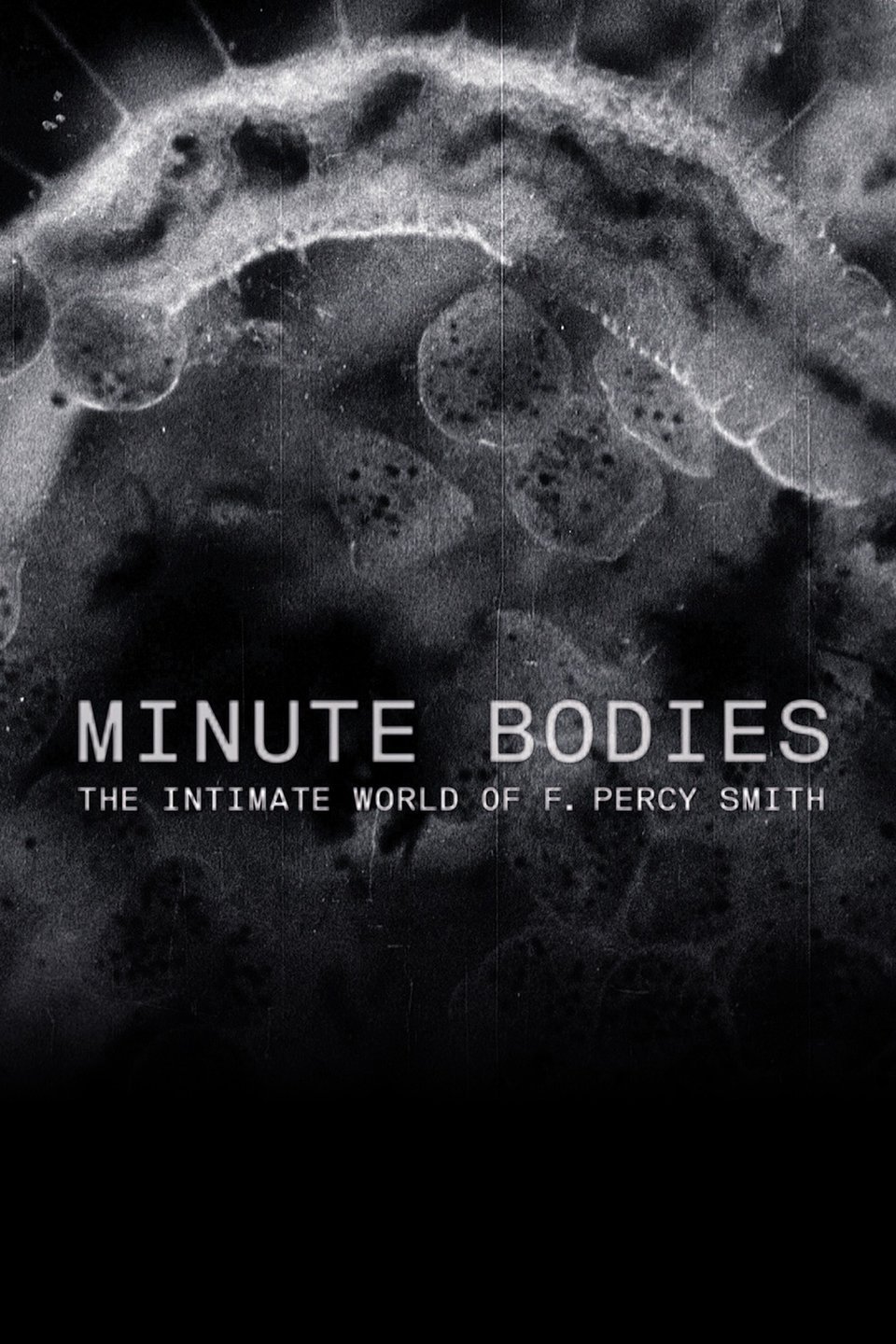 Minute Bodies: The Intimate World of F. Percy Smith Pictures - Rotten ...