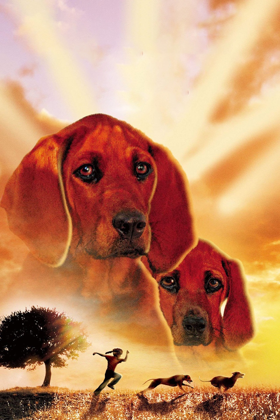 Where The Red Fern Grows Dogs Die